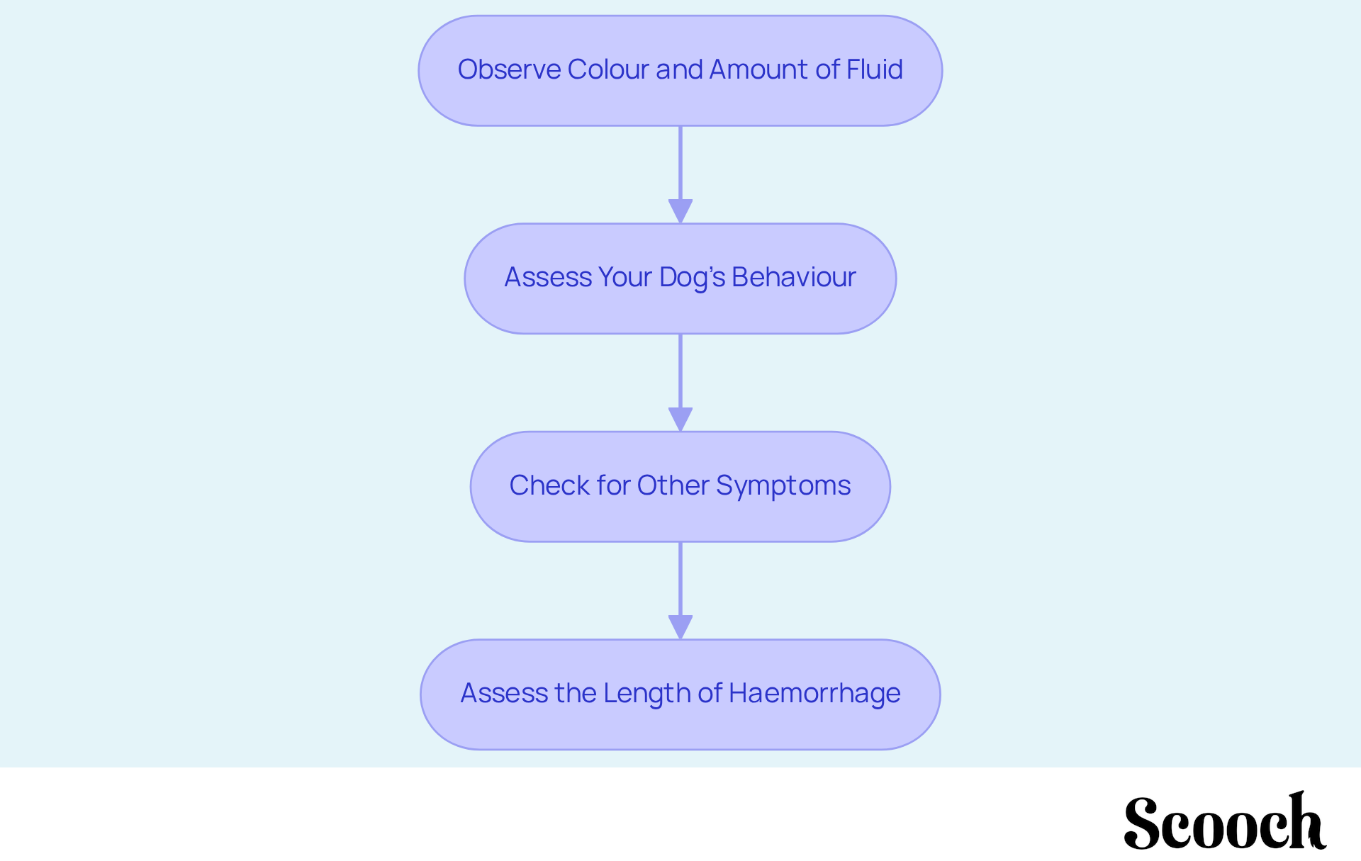 Follow the arrows to see the steps you should take when evaluating your dog's bleeding. Each box represents an important action or observation to help determine how serious the situation is. Follow the arrows to see the steps you should take when evaluating your dog's bleeding. Each box represents an important action or observation to help determine how serious the situation is.