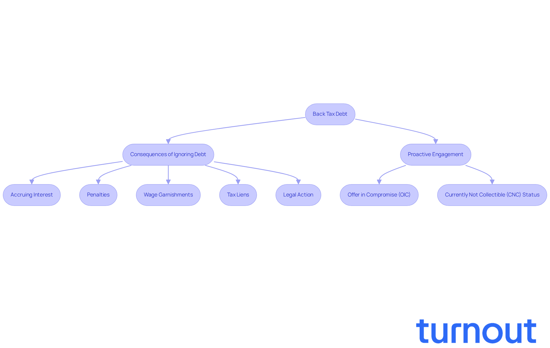 This flowchart shows the journey of dealing with back tax debt. Start at the top with the debt, then follow the arrows to see the consequences of ignoring it and the proactive steps you can take to resolve the situation. This flowchart shows the journey of dealing with back tax debt. Start at the top with the debt, then follow the arrows to see the consequences of ignoring it and the proactive steps you can take to resolve the situation.