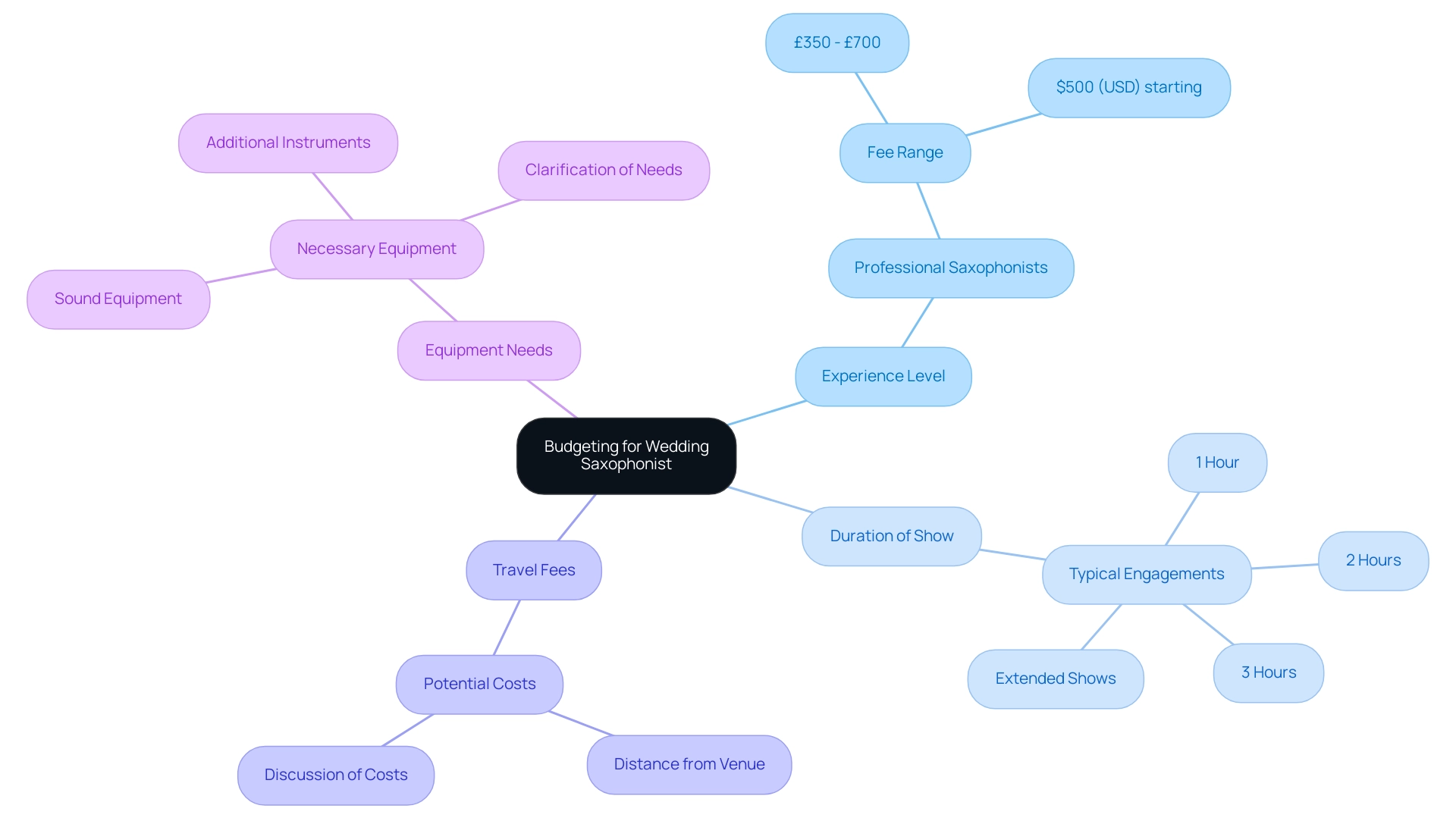 The central node represents the overall budget considerations, with branches indicating the four key cost factors, each further detailed with specific aspects.