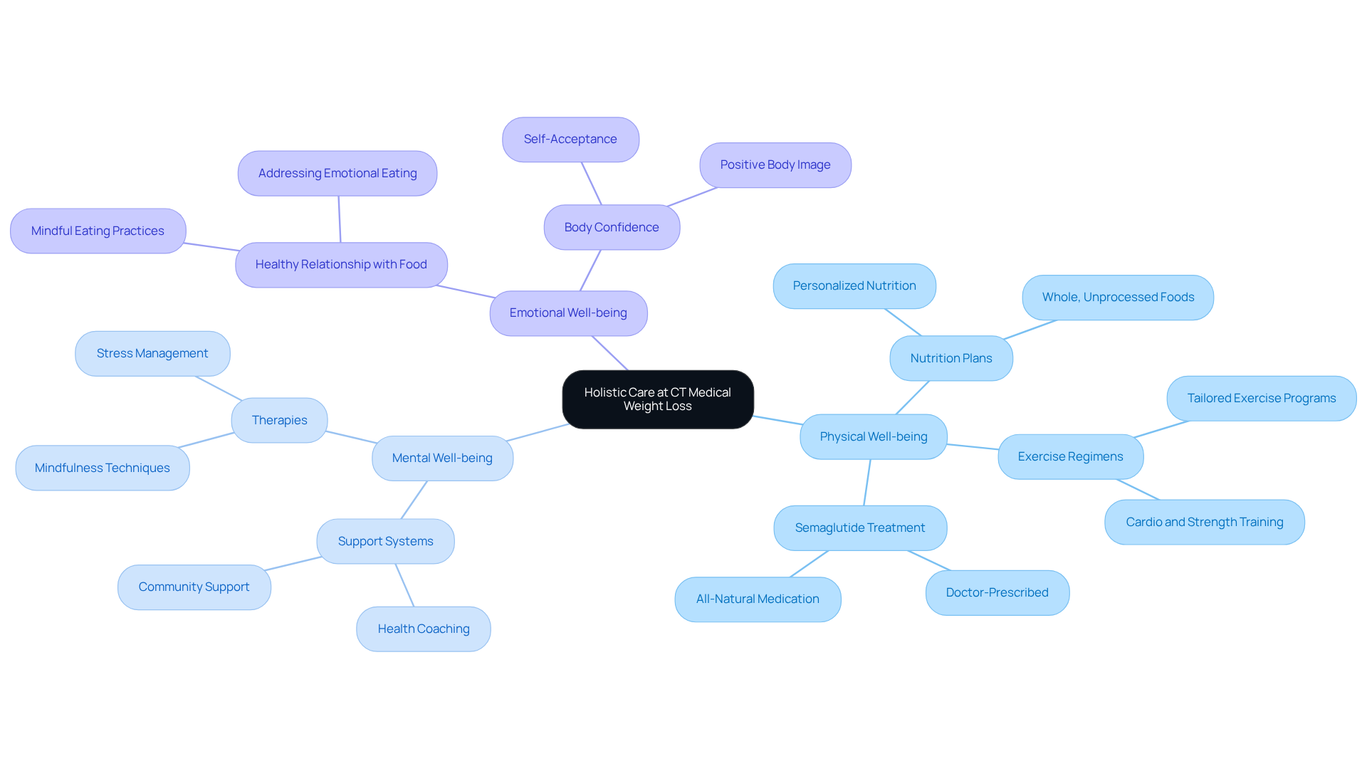This mindmap illustrates how different aspects of health are interconnected in our holistic care approach. Start at the center with holistic care, then explore how physical, mental, and emotional well-being contribute to your weight loss journey.