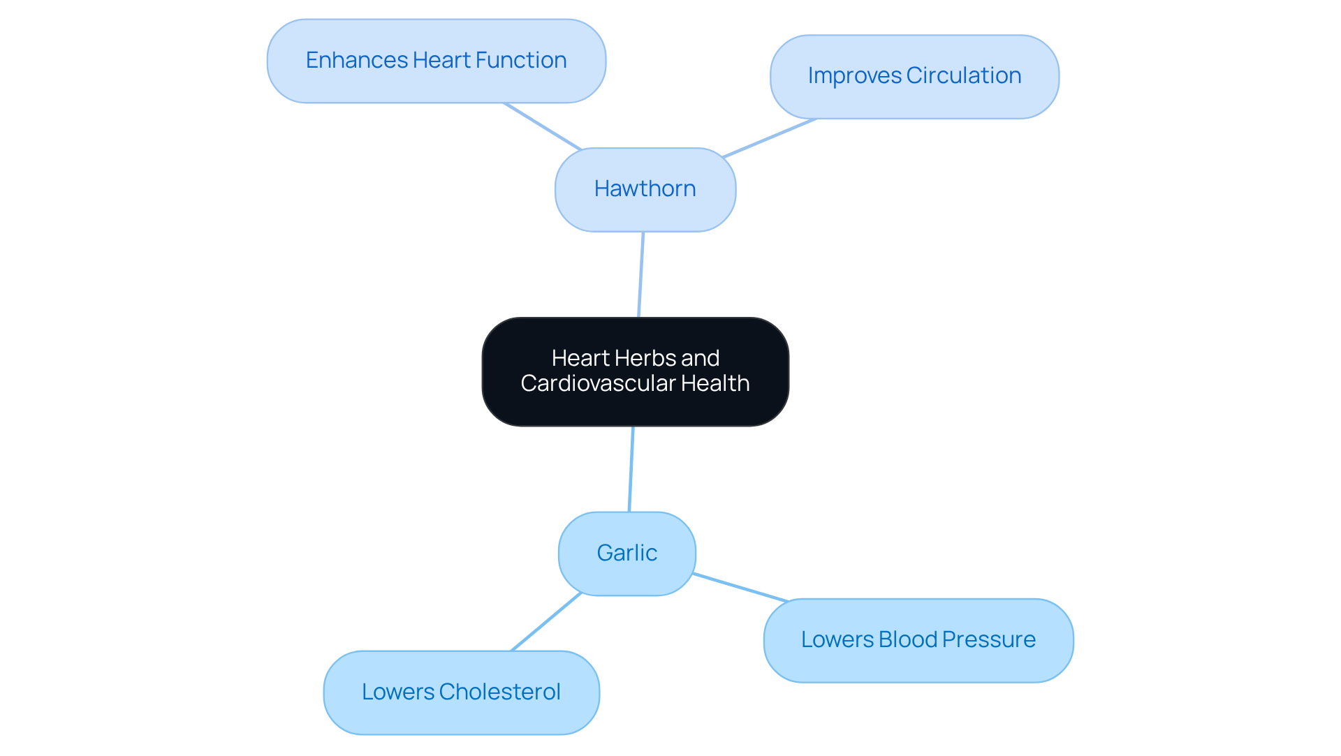 The central node represents the main topic of heart herbs. Each branch shows a specific herb and its benefits, making it easy to see how these natural remedies can support heart health.