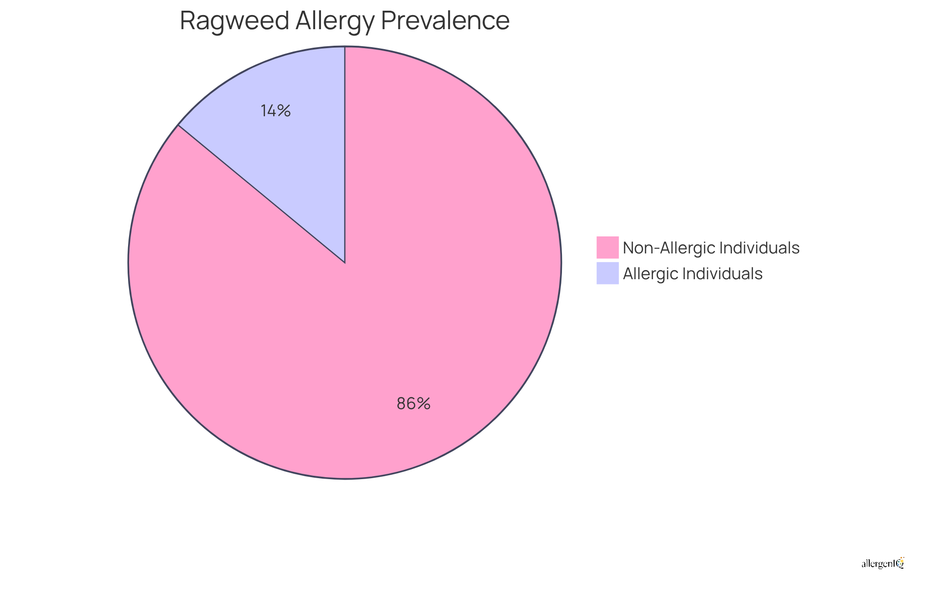 The green slice shows the percentage of people who are allergic to ragweed, while the gray slice represents those who are not. This visual helps you understand how common ragweed allergies are in the population.