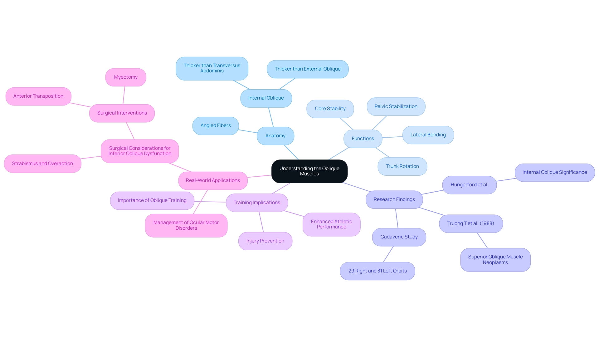 The central node represents the main topic, with branches for anatomy, functions, research, training, and applications. Each color corresponds to a specific category.