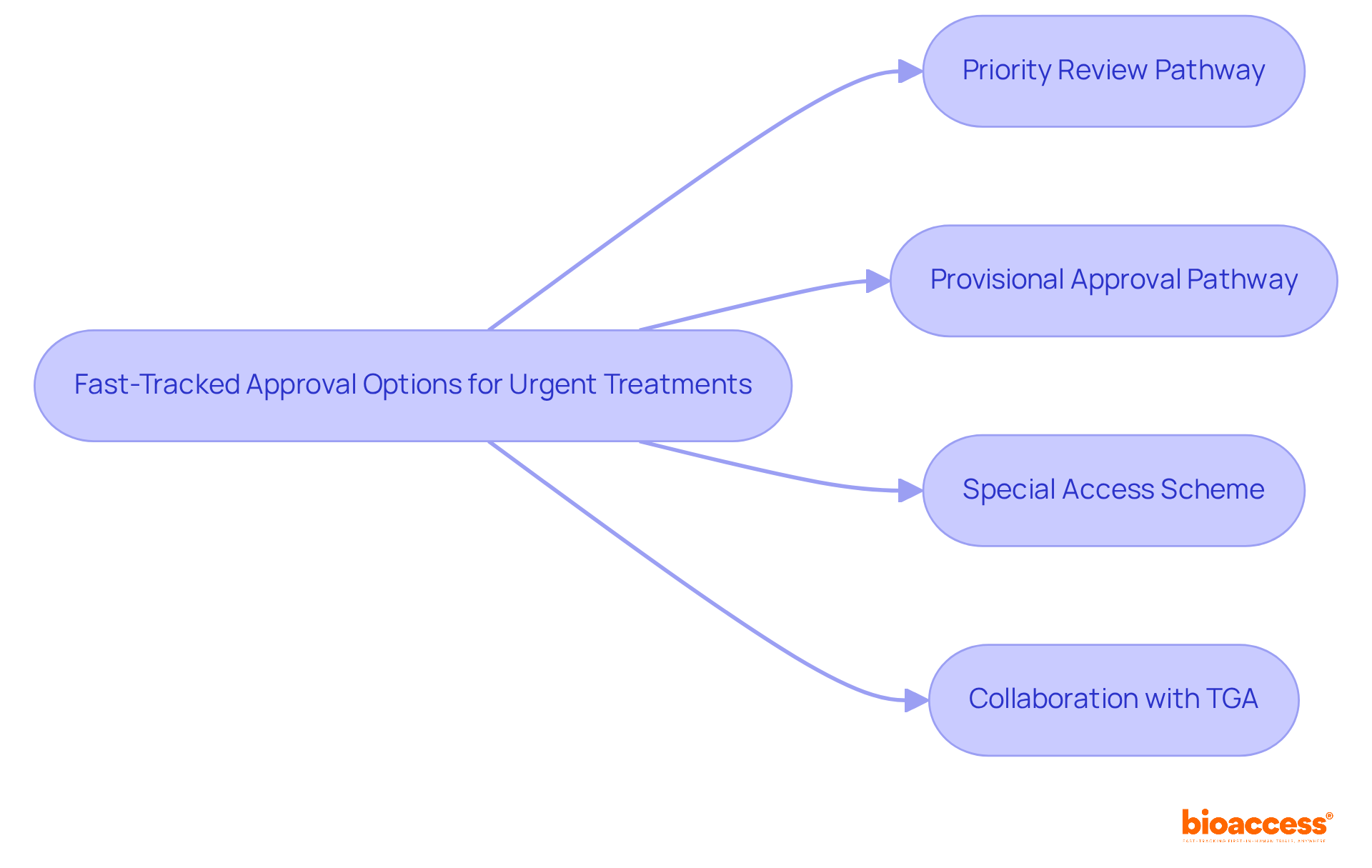 Each box shows a different fast-tracked option. Follow the arrows to understand how each pathway functions and what actions are required to pursue them.