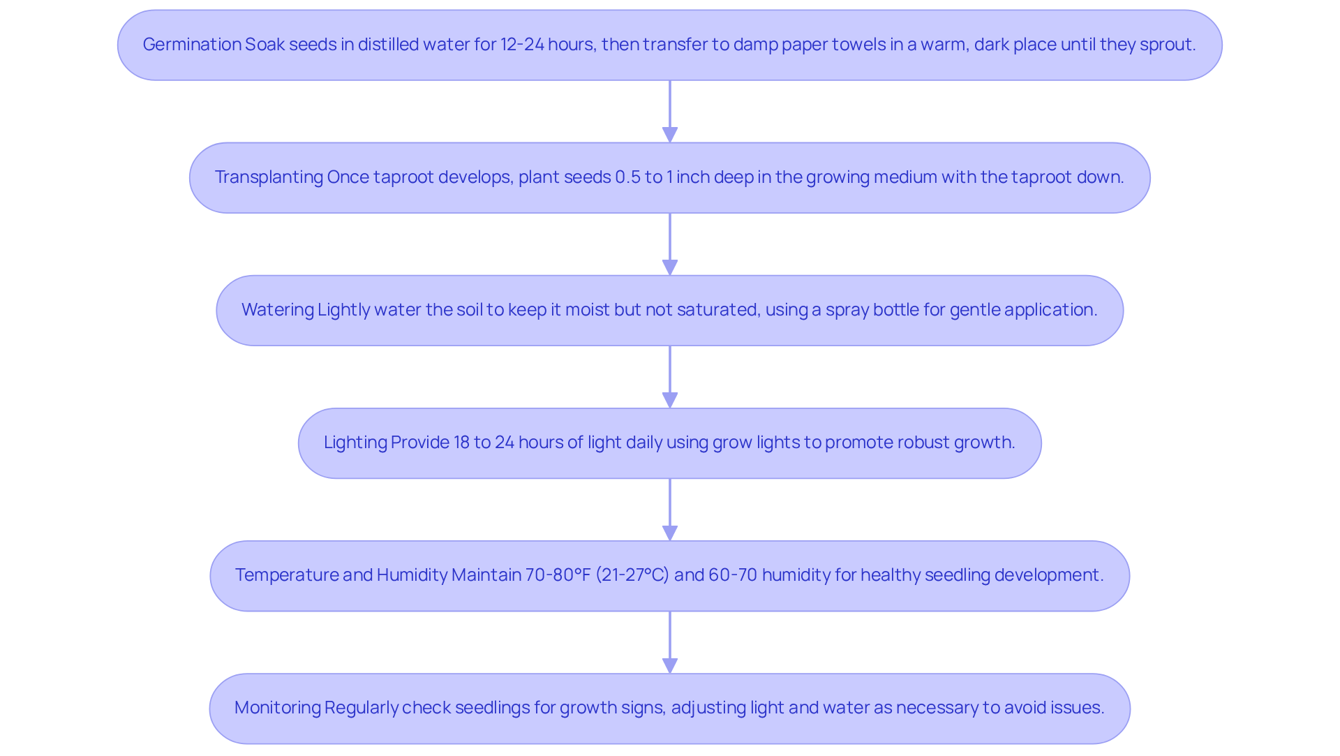 Each box shows a crucial step in the planting process. Follow the arrows to see how to successfully nurture your seeds from germination to monitoring their growth.