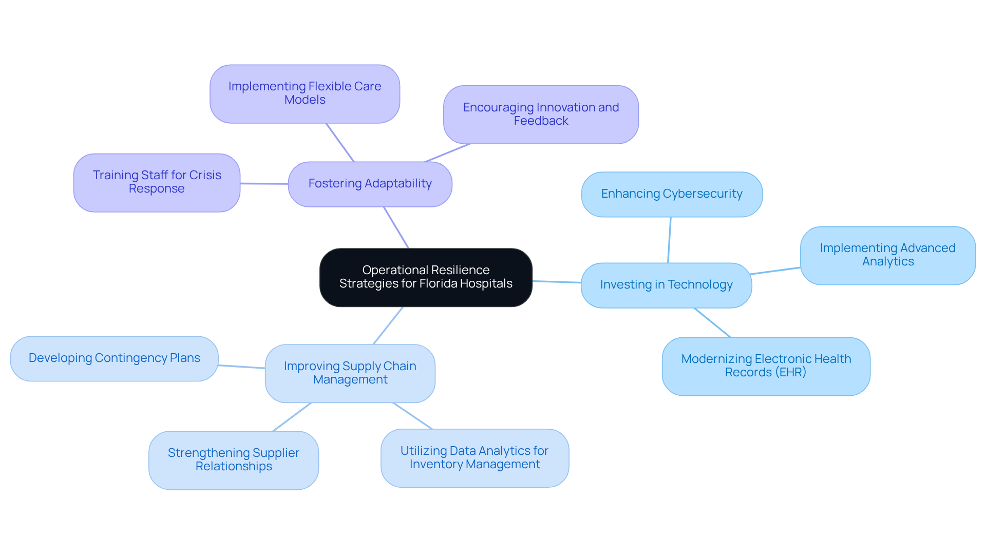 At the center is the main theme of operational resilience, with branches detailing key strategies. Each strategy represents a way hospitals can improve their response to challenges, helping ensure they provide high-quality care.