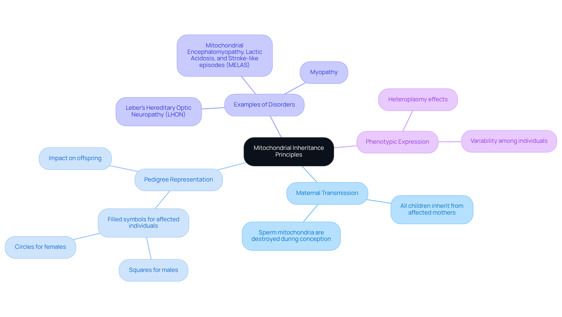 Start at the center with the main idea of mitochondrial inheritance, then follow the branches to explore each aspect, including how it is passed down, how affected individuals are represented, examples of disorders, and the variability in expression.
