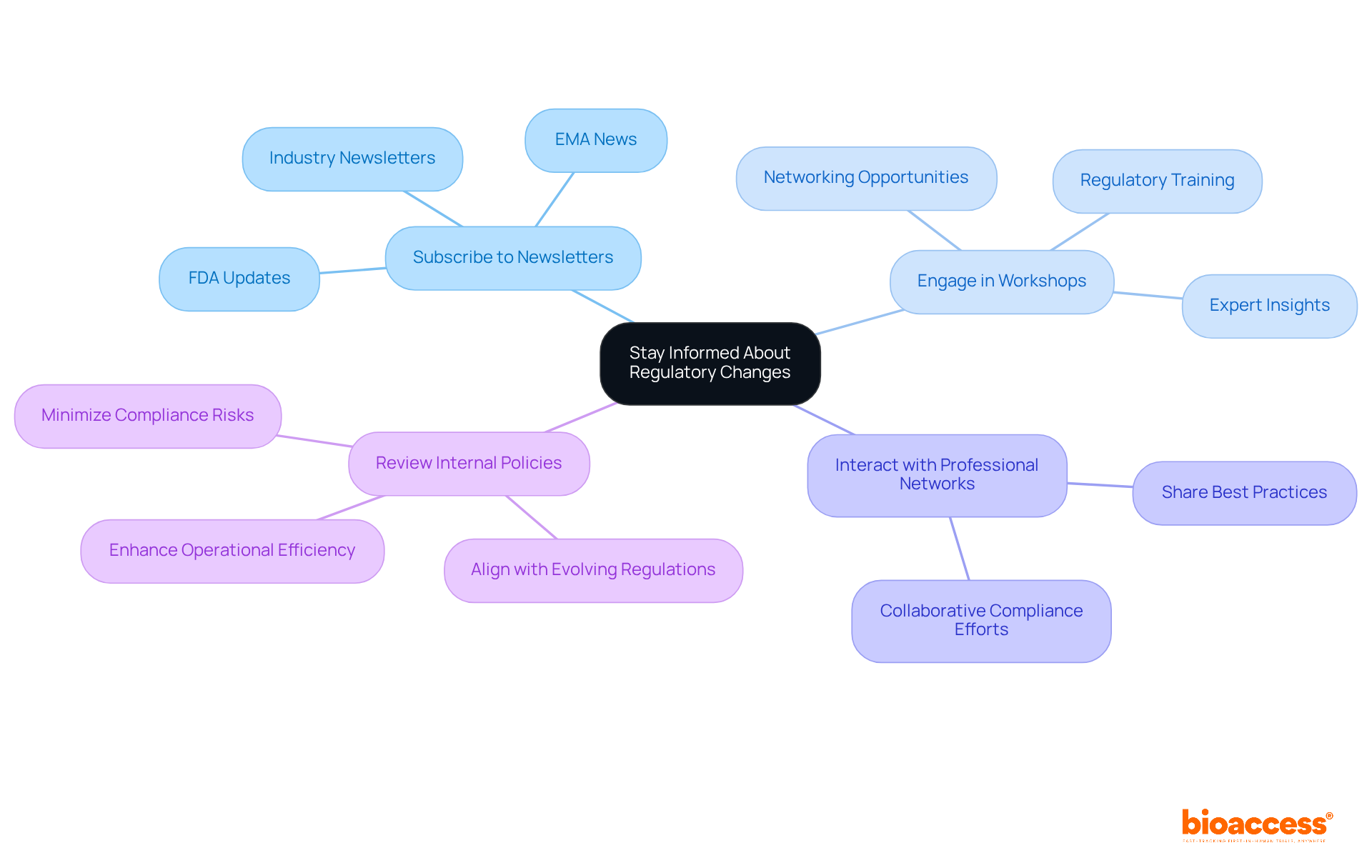 The central theme is about keeping up with regulations. Each branch shows a different strategy — follow the lines to see how these strategies connect and support compliance efforts.