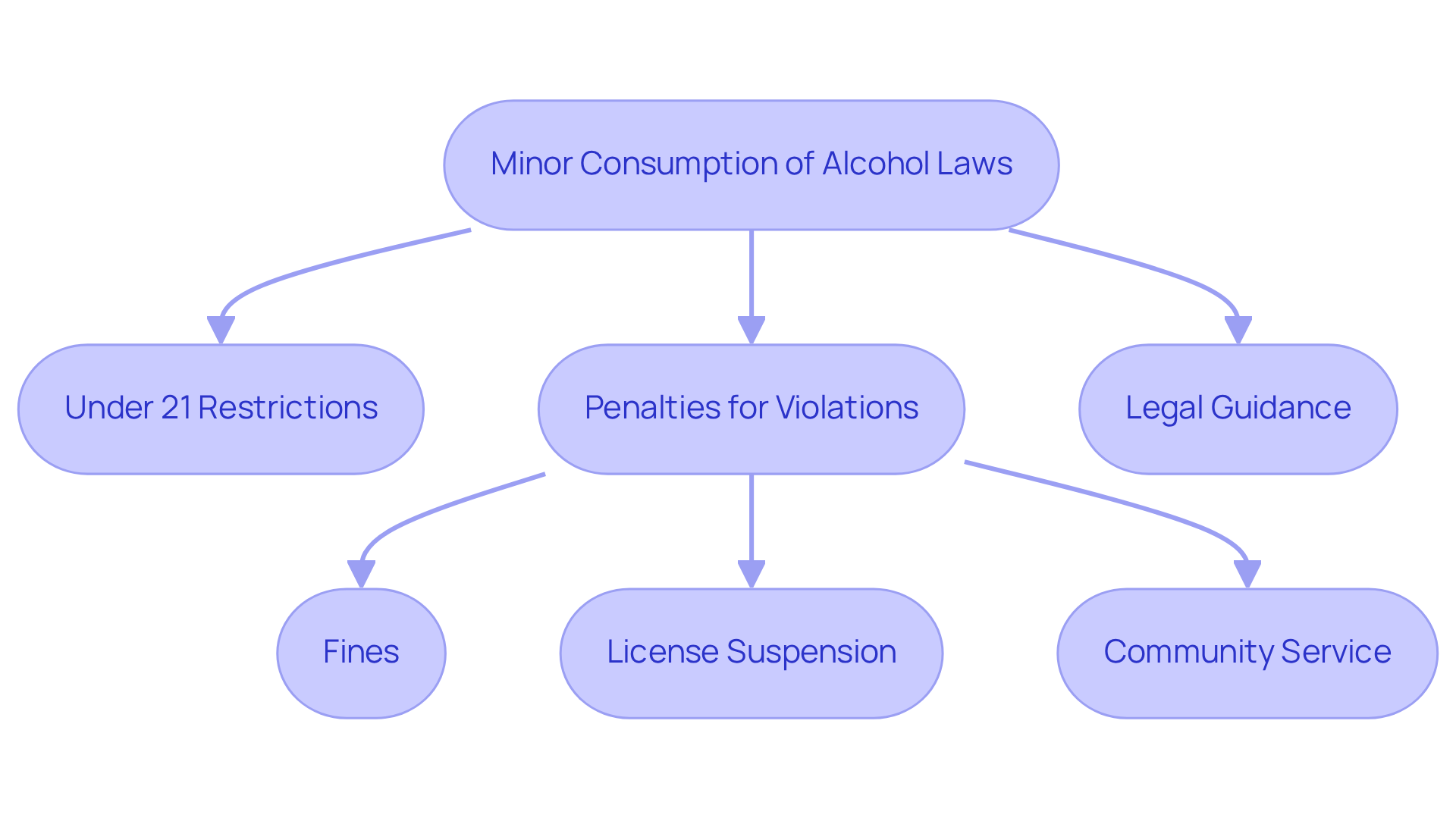 This flowchart illustrates the laws surrounding underage drinking and the penalties that follow violations. Start at the top with the laws, then follow the arrows to see the potential penalties and the importance of seeking legal help. This flowchart illustrates the laws surrounding underage drinking and the penalties that follow violations. Start at the top with the laws, then follow the arrows to see the potential penalties and the importance of seeking legal help.