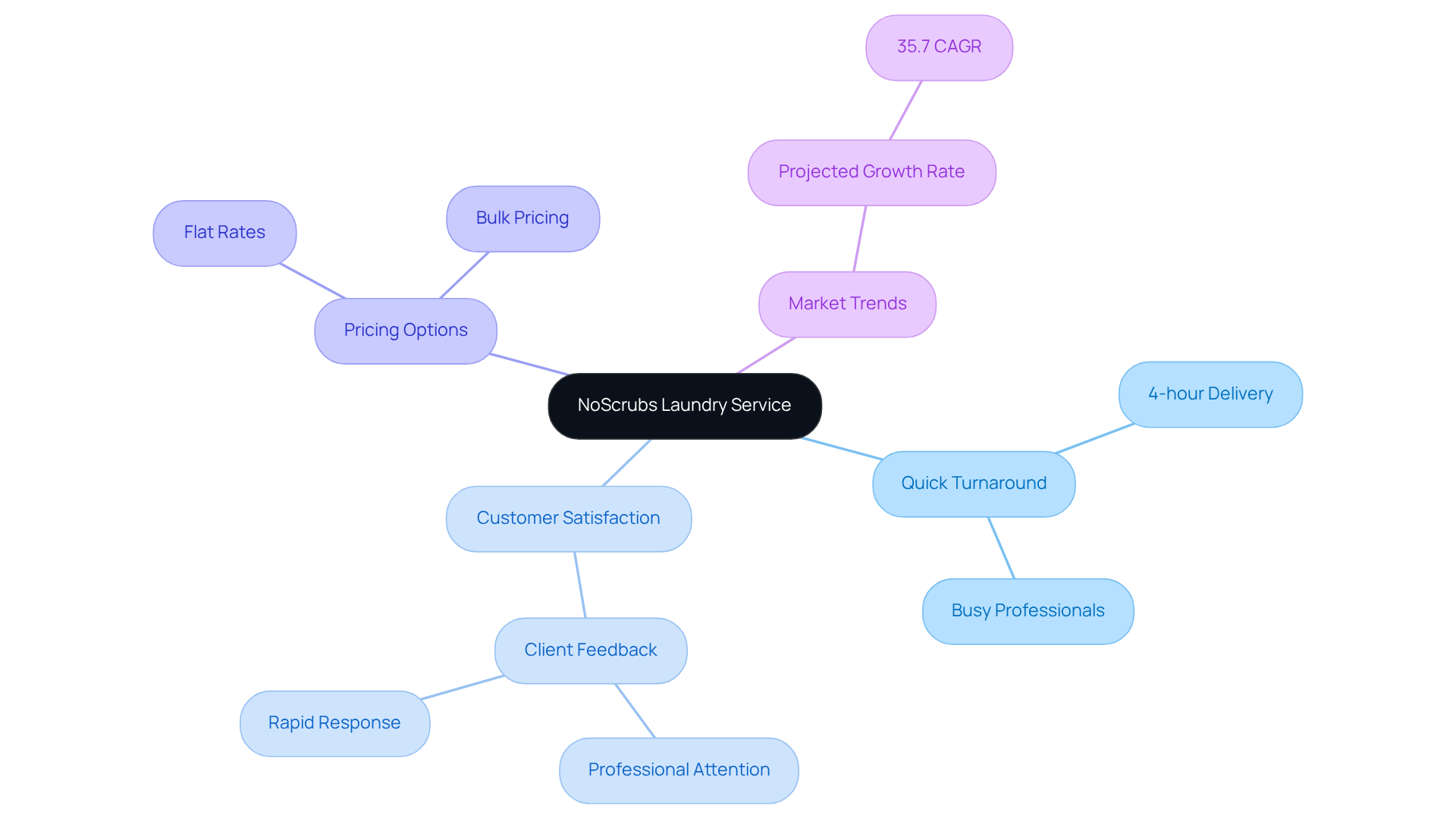 The central node represents the NoScrubs service, with branches showing its key features and customer insights. Each branch highlights how these elements contribute to the service's appeal and market position. The central node represents the NoScrubs service, with branches showing its key features and customer insights. Each branch highlights how these elements contribute to the service's appeal and market position.
