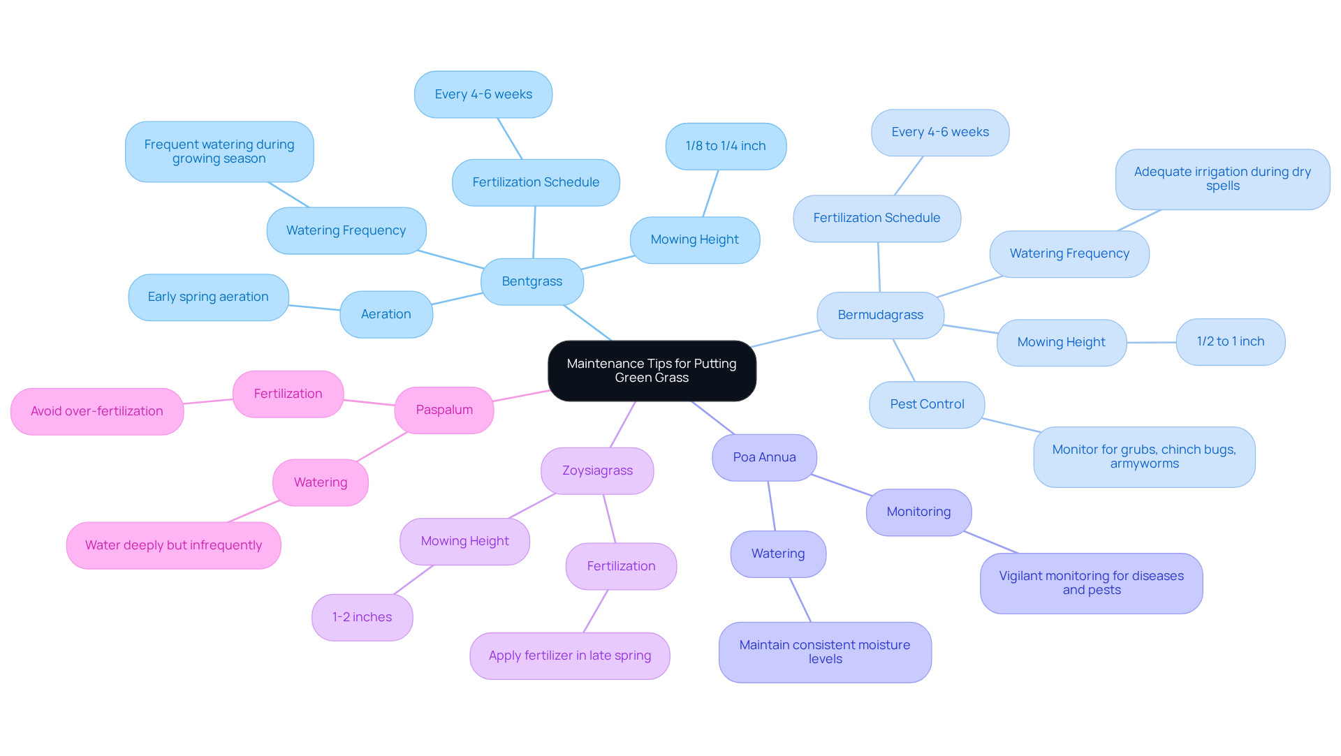 The central node represents the overall topic, while each branch shows a specific type of grass. Follow the branches to find tailored maintenance tips for each grass type, making it easy to understand how to care for your putting green. The central node represents the overall topic, while each branch shows a specific type of grass. Follow the branches to find tailored maintenance tips for each grass type, making it easy to understand how to care for your putting green.