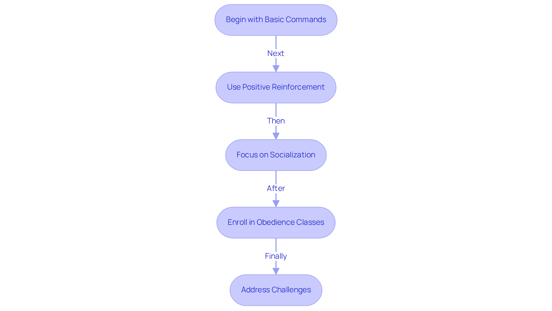 Each box represents a crucial step in training your Cane Corso. Follow the arrows to see how to progress through the training journey, from basic commands to addressing challenges.