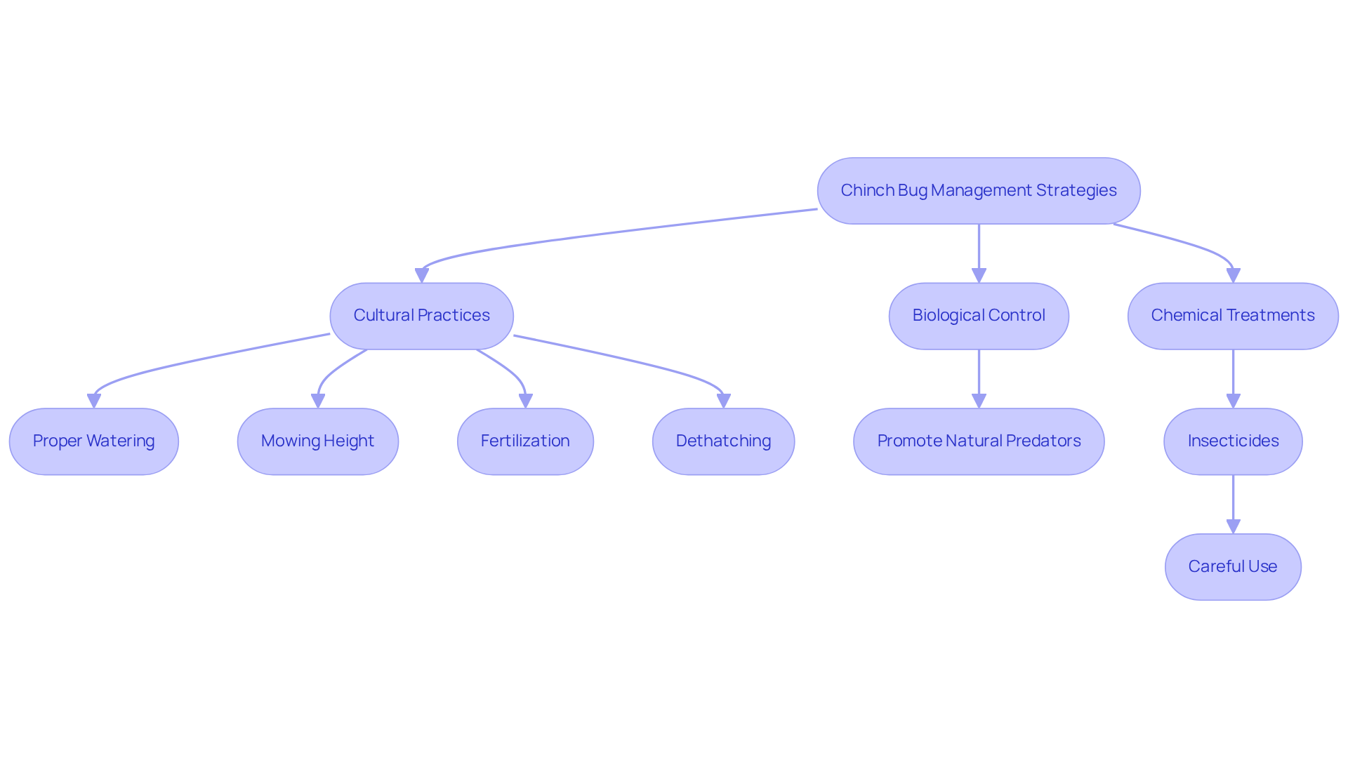 This flowchart outlines the steps you can take to manage chinch bug infestations. Start at the top with the main strategies, then follow the branches to see specific actions you can take under each category. The colors help you identify which strategies are cultural, biological, or chemical. This flowchart outlines the steps you can take to manage chinch bug infestations. Start at the top with the main strategies, then follow the branches to see specific actions you can take under each category. The colors help you identify which strategies are cultural, biological, or chemical.