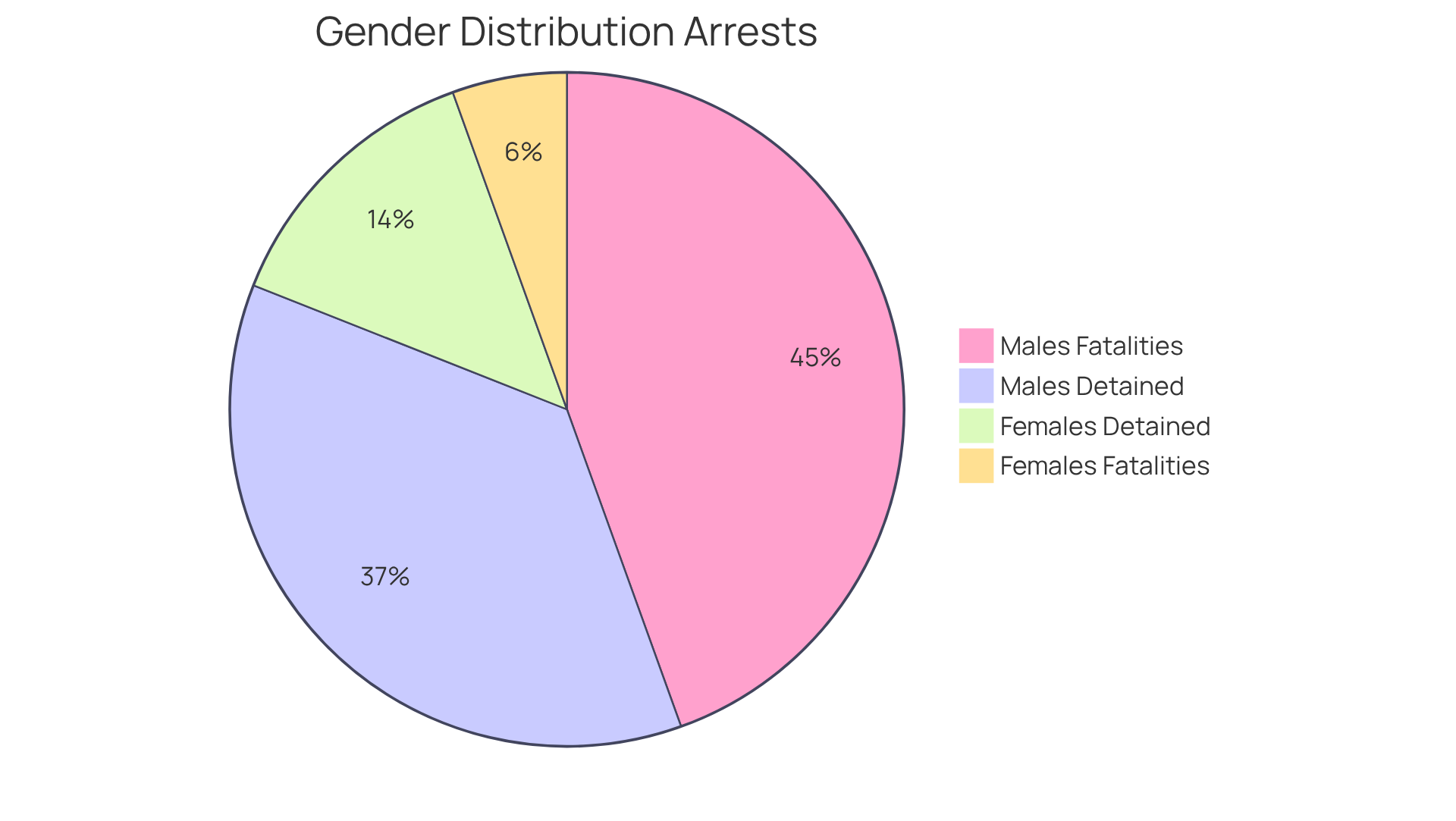 Each slice of the pie represents the percentage of males and females in different categories related to arrest warrants. A larger slice means a higher percentage, helping you see how many more males are affected compared to females.
