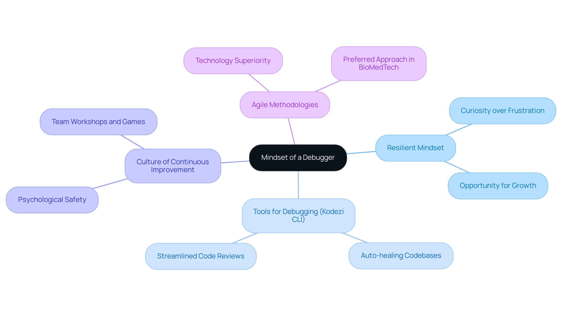 Each branch represents a key concept related to debugging, with specific sub-nodes detailing important aspects of each concept.