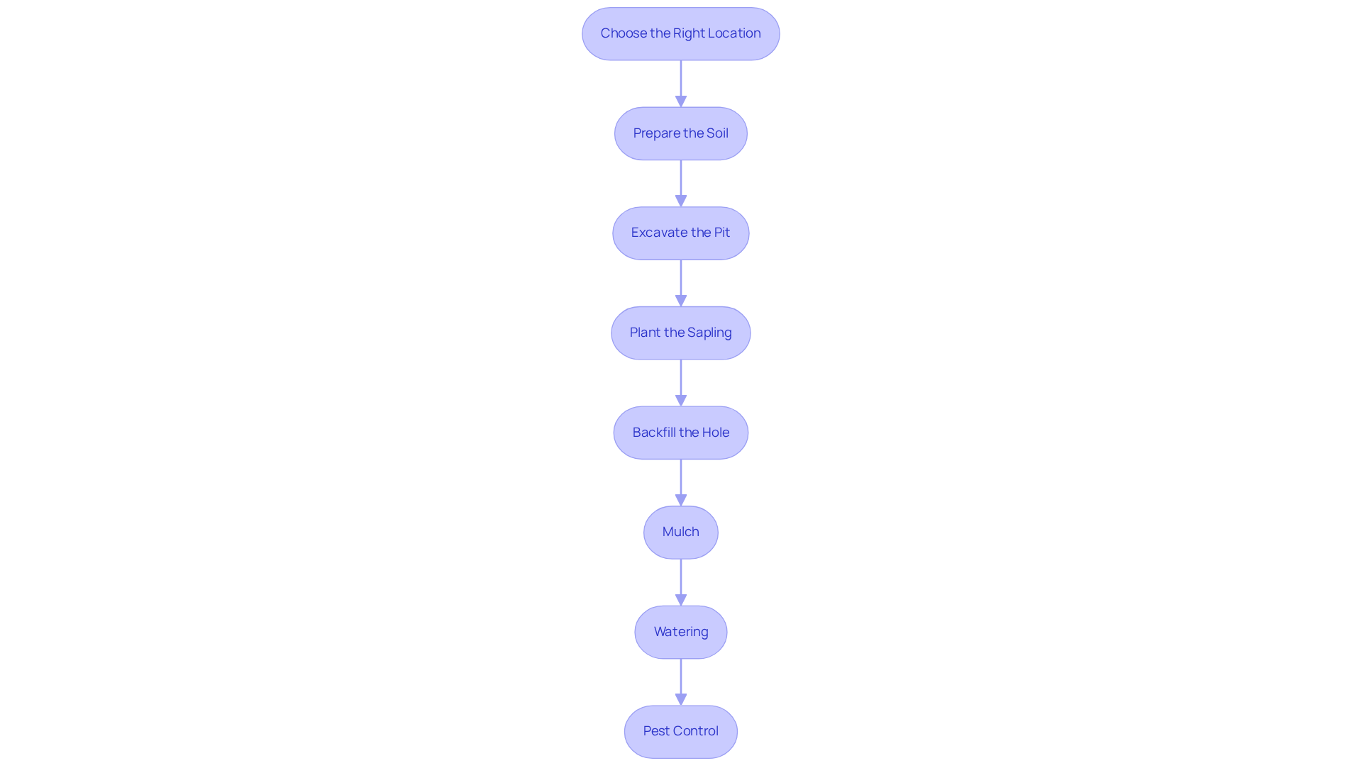 Each box represents a step in the planting process. Follow the arrows from one step to the next to see the entire planting journey and ensure proper care for your Pitomba.