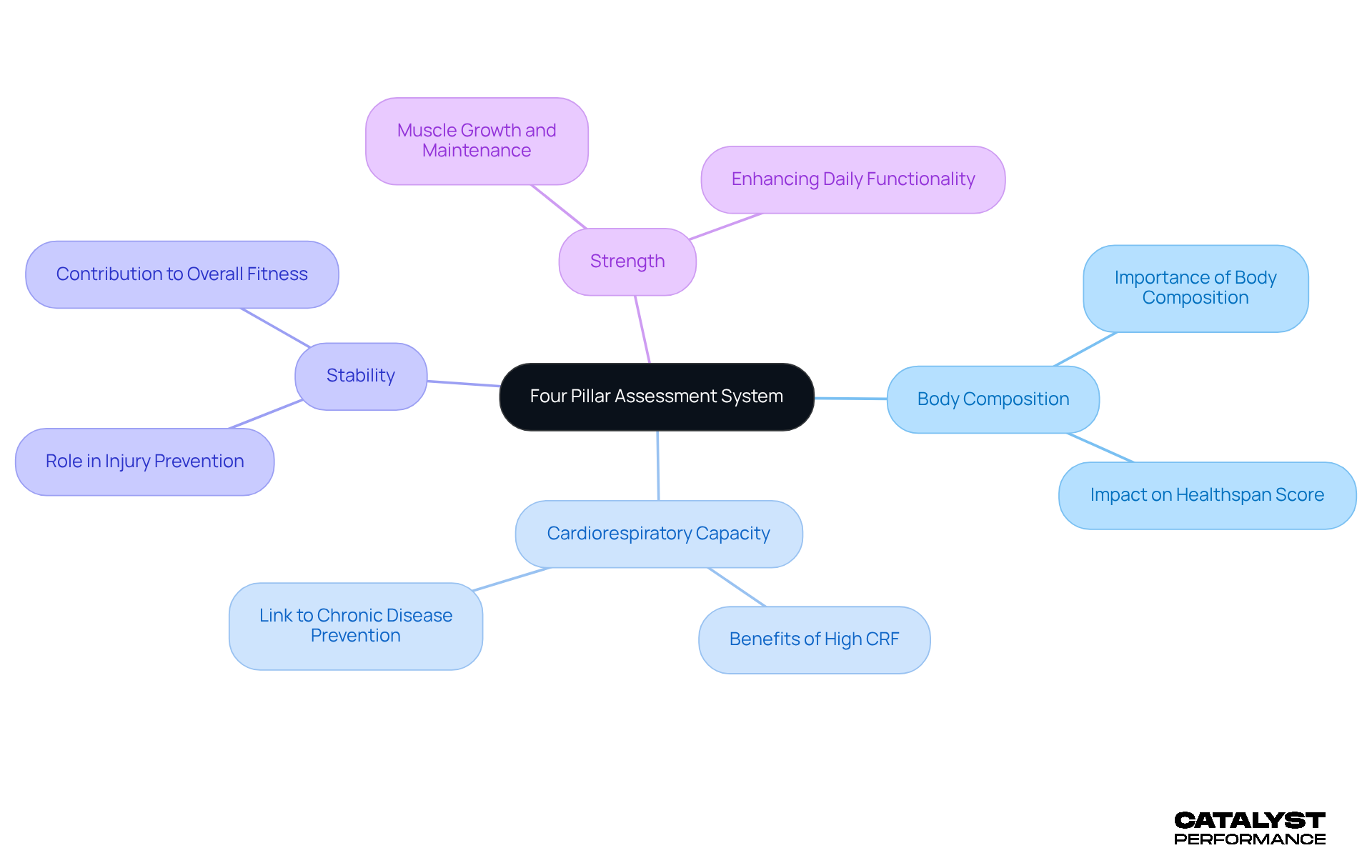 Start at the center with the Four Pillar Assessment System, then explore each branch to see how body composition, cardiorespiratory capacity, stability, and strength contribute to your overall health and wellness journey.
