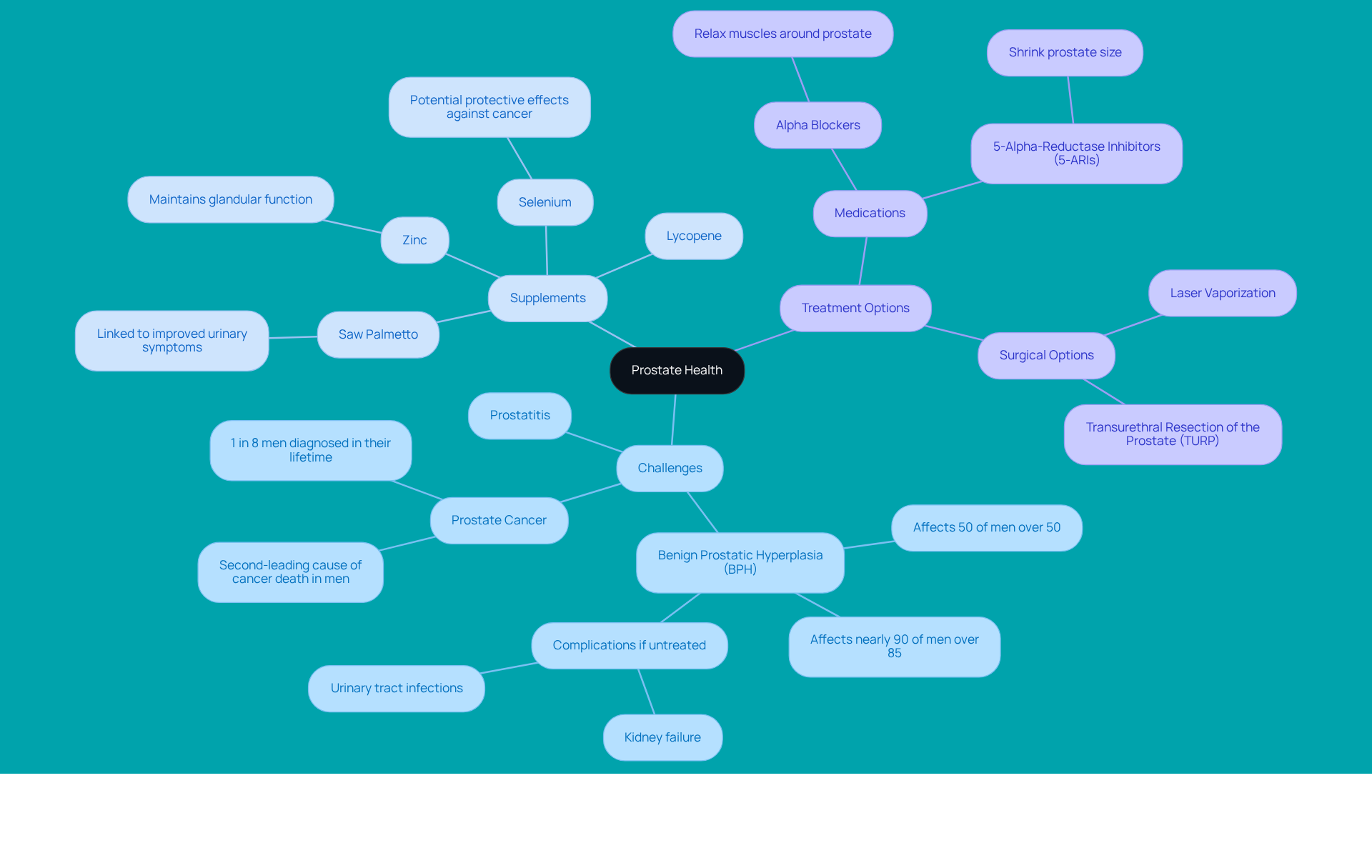 The center represents prostate health, with branches showing the challenges men face and the supplements that can help. Each color-coded branch helps you see how these topics connect, making it easier to understand the overall picture of prostate wellness.