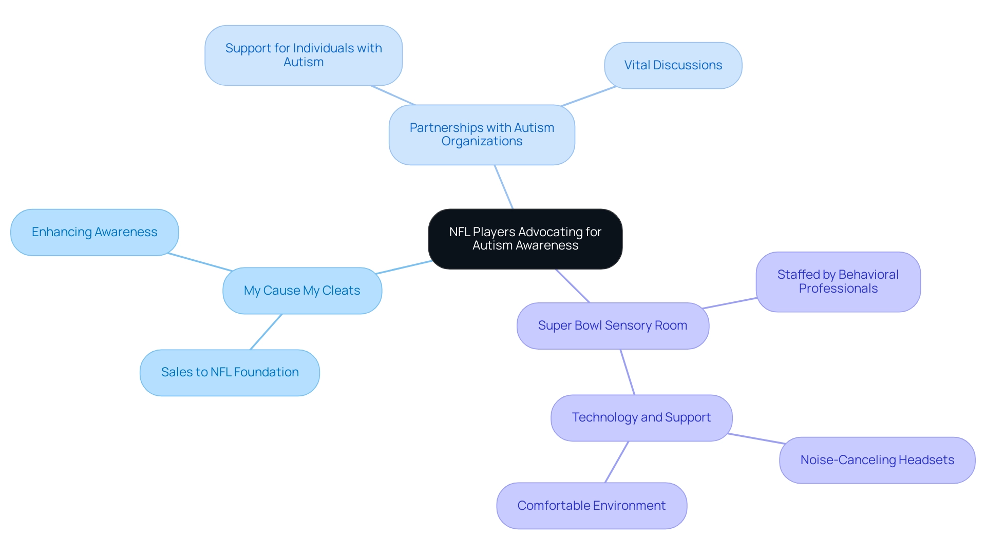 The central node represents the advocacy theme, with branches for key initiatives and sub-branches highlighting specific actions and impacts.