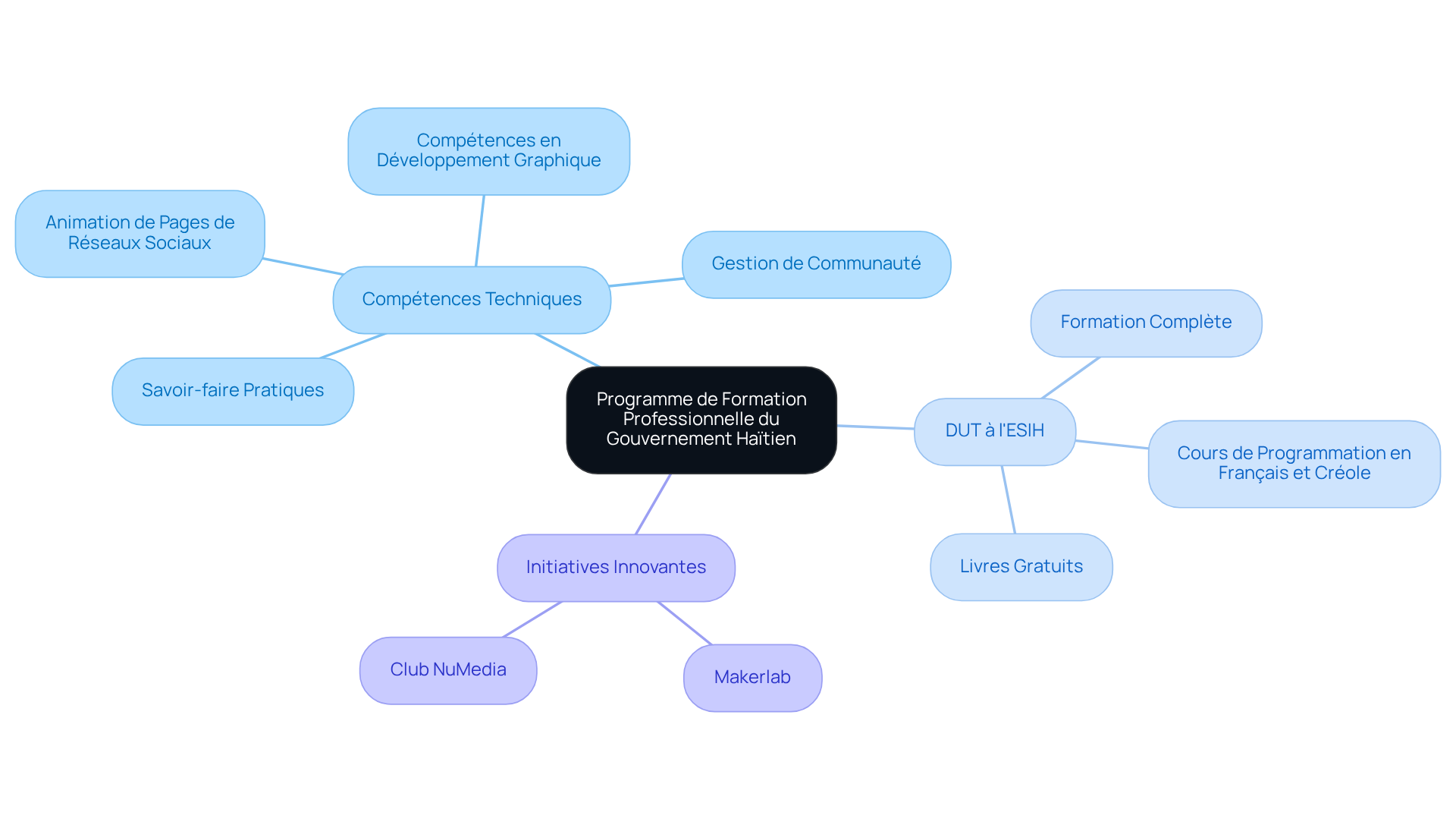 Le centre représente le programme principal, et chaque branche montre les différents aspects de la formation, comme les compétences à acquérir et les initiatives qui soutiennent l'apprentissage. Suivez les branches pour explorer comment chaque élément contribue à préparer les jeunes professionnels au marché du travail.