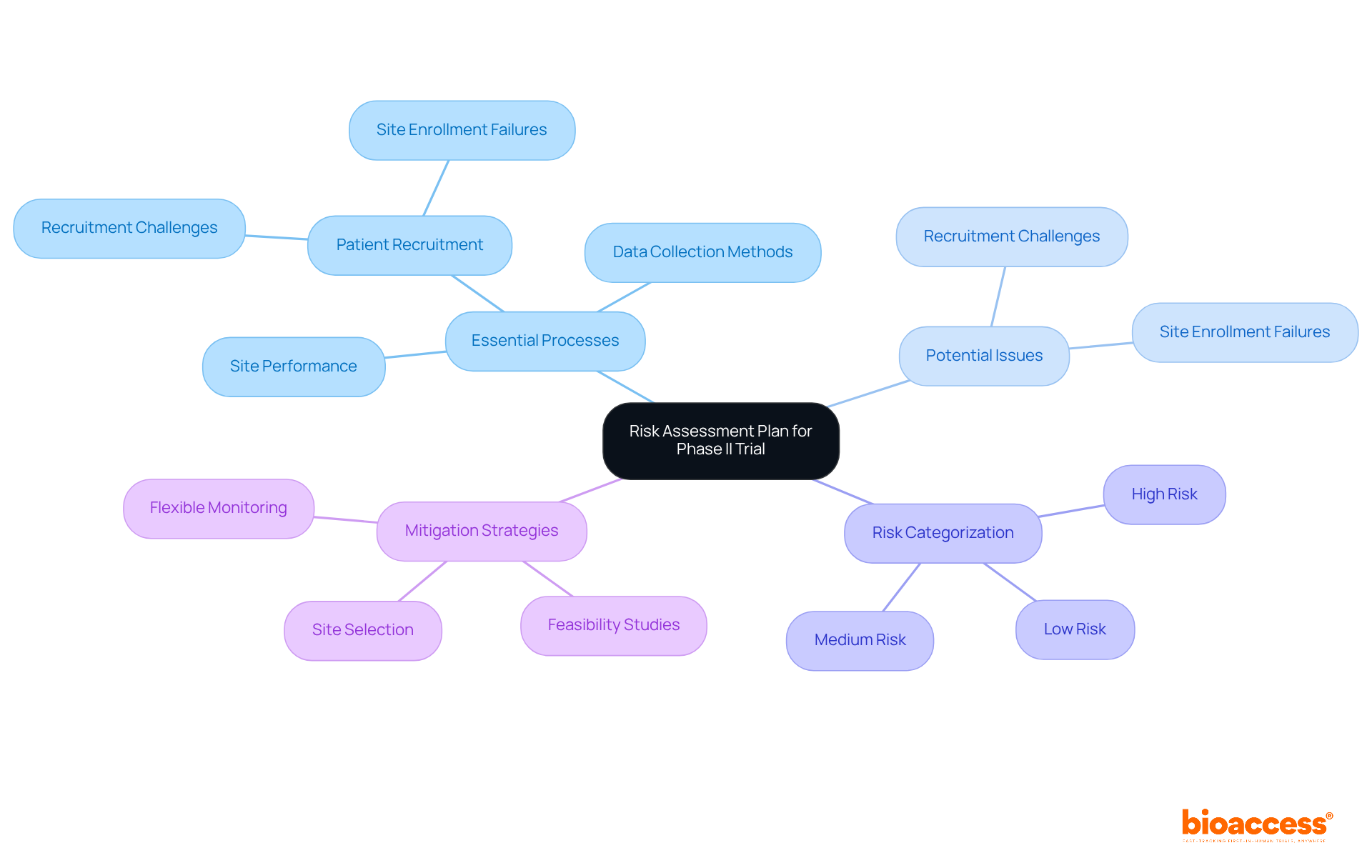 The central node represents the main focus of the plan, while branches show key areas to consider. Each sub-node provides specific details or challenges related to that area, helping you visualize the entire risk assessment process.