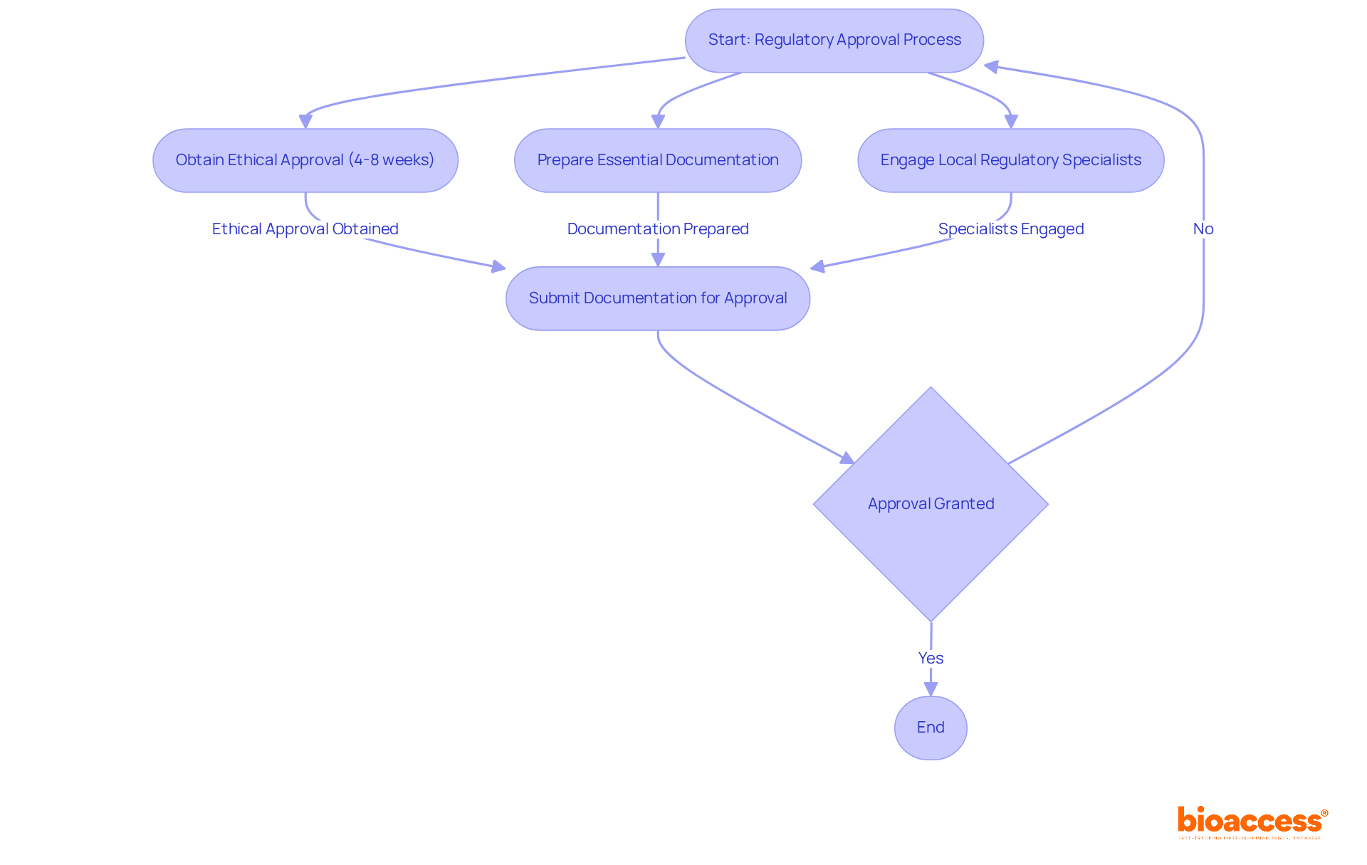 Follow the arrows to see the steps researchers need to take for regulatory approval. Each box represents a key action in the process, helping you understand how to navigate the requirements.