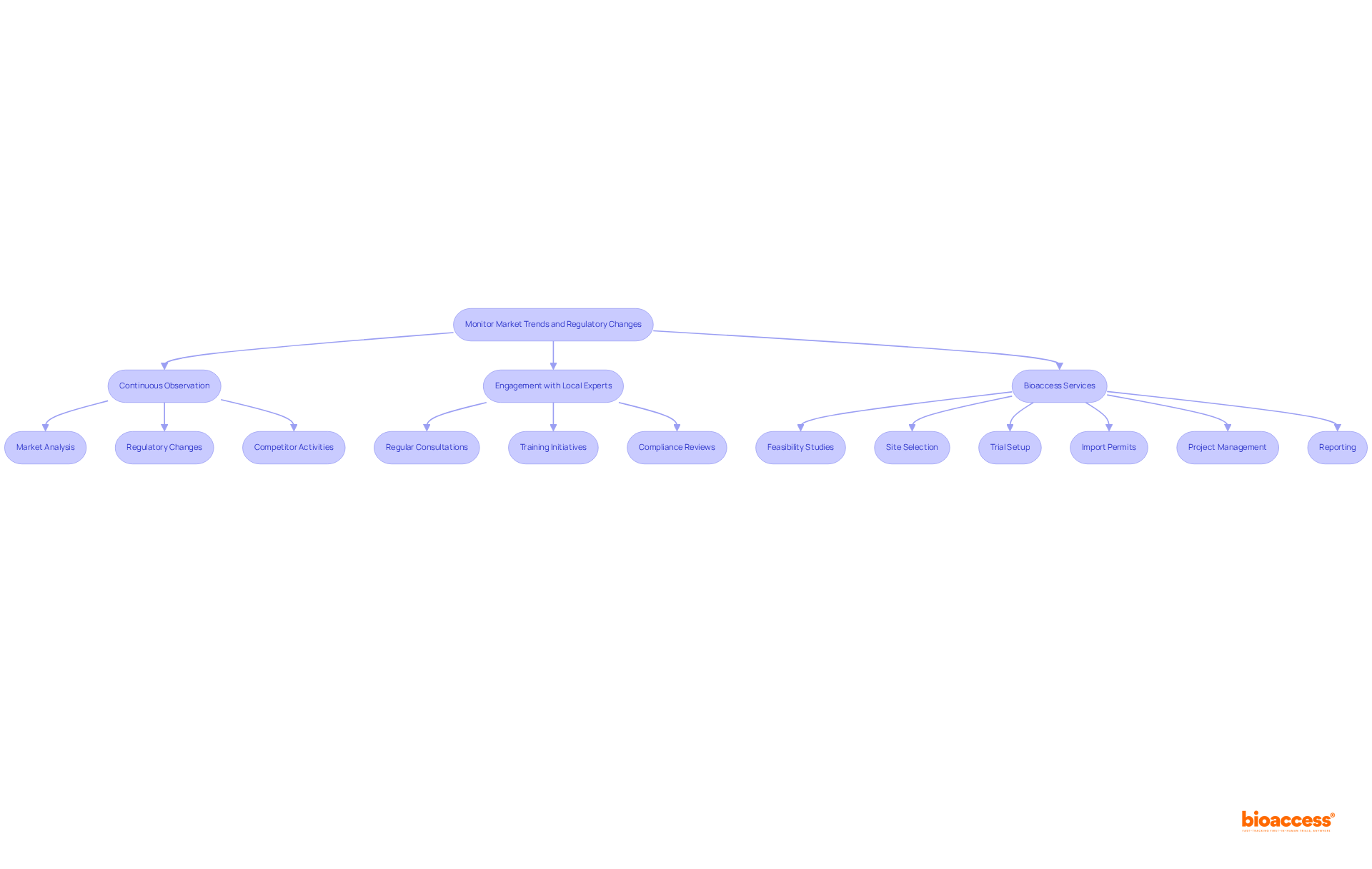 This flowchart shows the steps to effectively monitor market trends and regulatory changes. Each box represents an action or service that supports compliance and strategic market access. Follow the arrows to see how these elements connect and contribute to success in the MedTech sector.