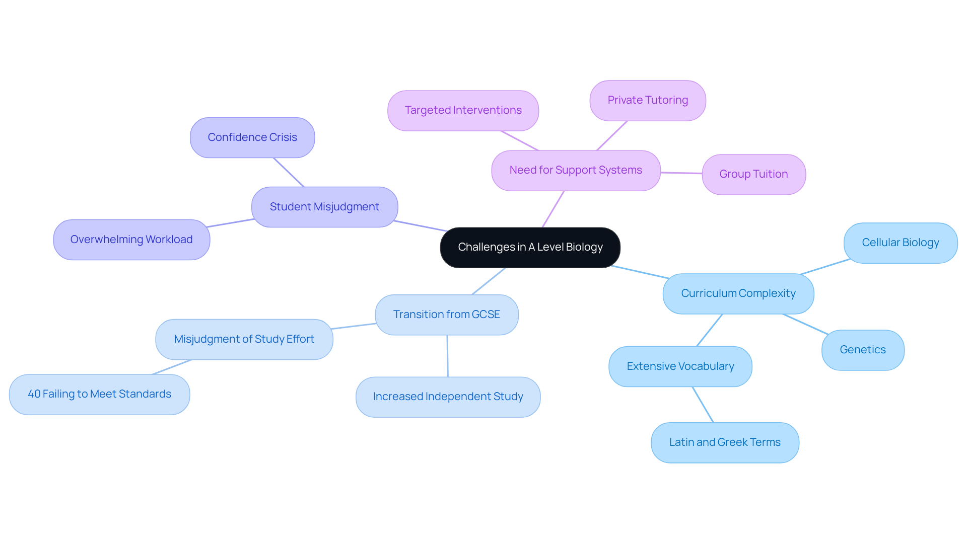 The central node represents the overall challenges, while branches show specific areas of difficulty. Each sub-branch provides more detail, helping you see how these challenges are interconnected and the importance of support.