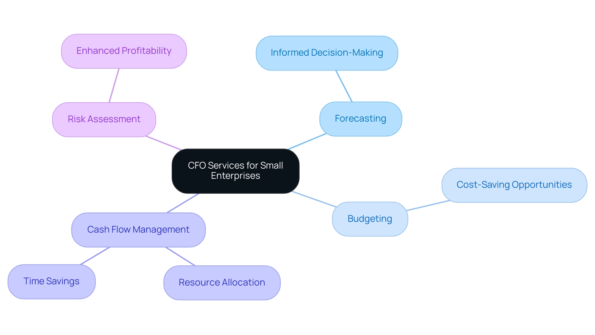 The central node represents CFO services, with branches illustrating key functions and benefits for small enterprises.