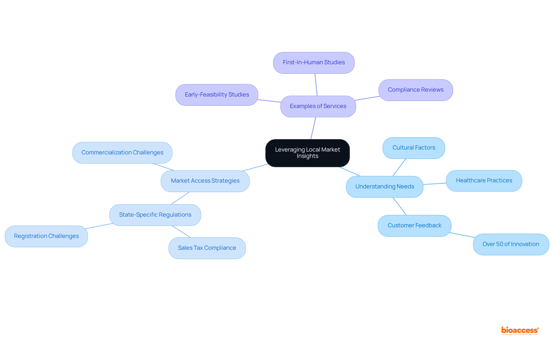 The central idea is about using local market insights to tailor products. Each branch expands on key aspects like understanding regional needs, strategies for market access, and examples of services that support this approach.