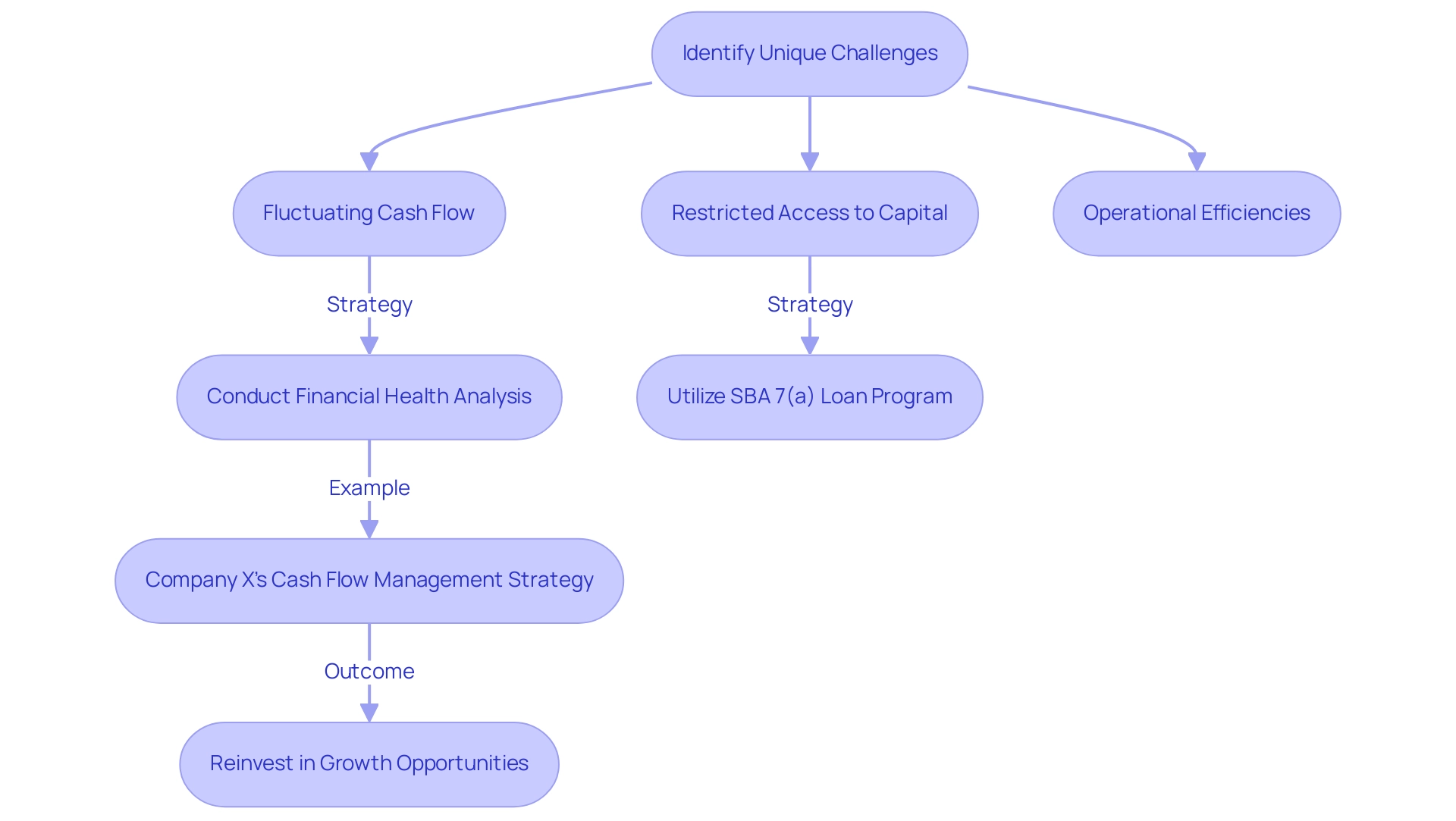 Boxes represent challenges, strategies, and successful examples; arrows indicate the flow of actions to address challenges.