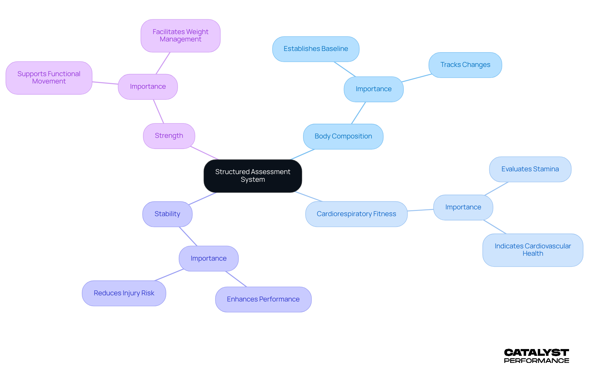 The central node represents the structured assessment system, while the branches show the four key dimensions of fitness. Each dimension is crucial for tailoring personal training programs and tracking progress.