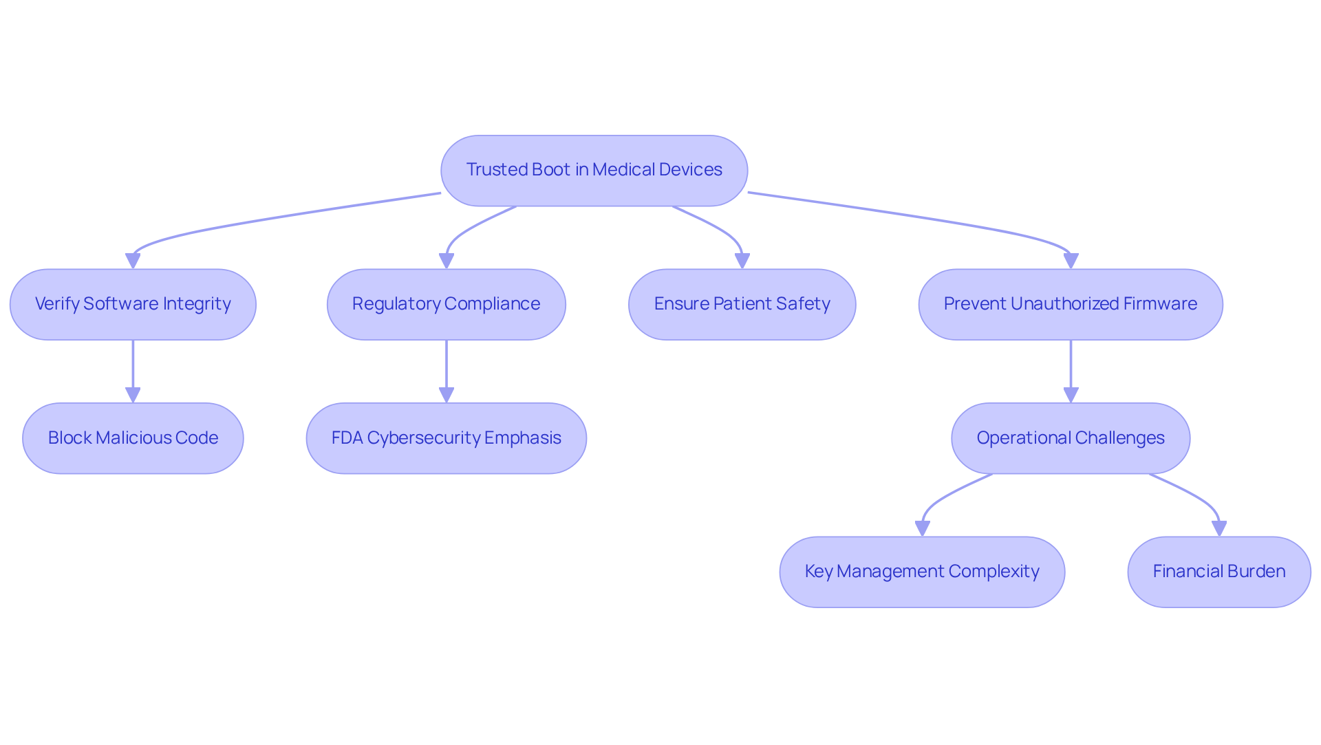 This flowchart illustrates the steps and considerations involved in implementing trusted boot in medical devices. Each box represents a critical aspect of the process, showing how they connect to ensure patient safety and compliance with regulations.