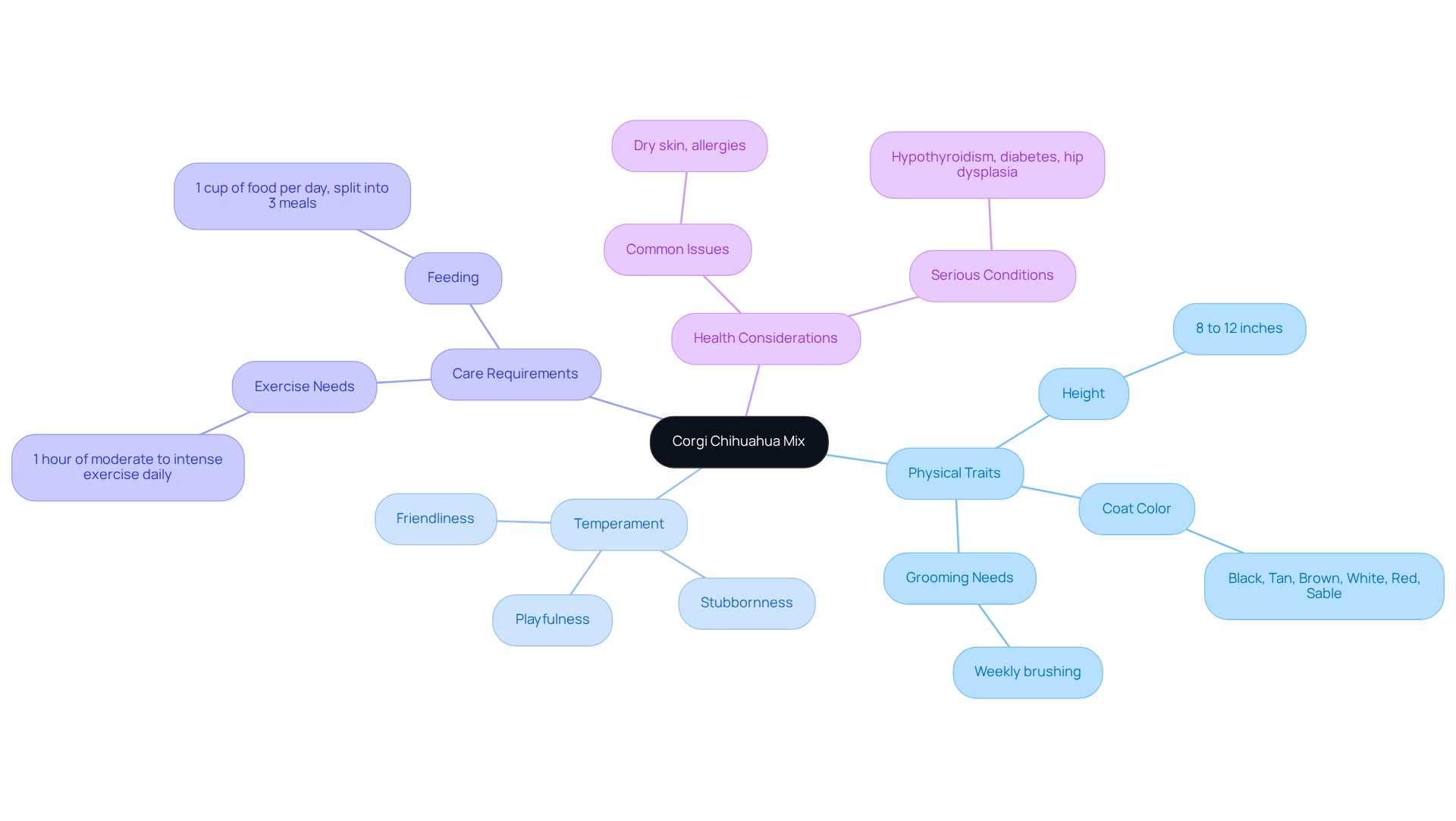 At the center is the Corgi Chihuahua mix, branching out to show important traits and considerations. Each branch highlights a different aspect of the dog's characteristics, making it easy to understand how they relate to each other.