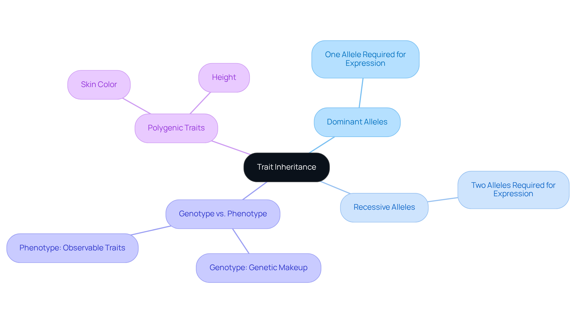 Start at the center with 'Trait Inheritance', then explore each branch to understand how different genetic concepts connect and influence traits. Each color-coded branch represents a key idea, making it easy to see how they relate.