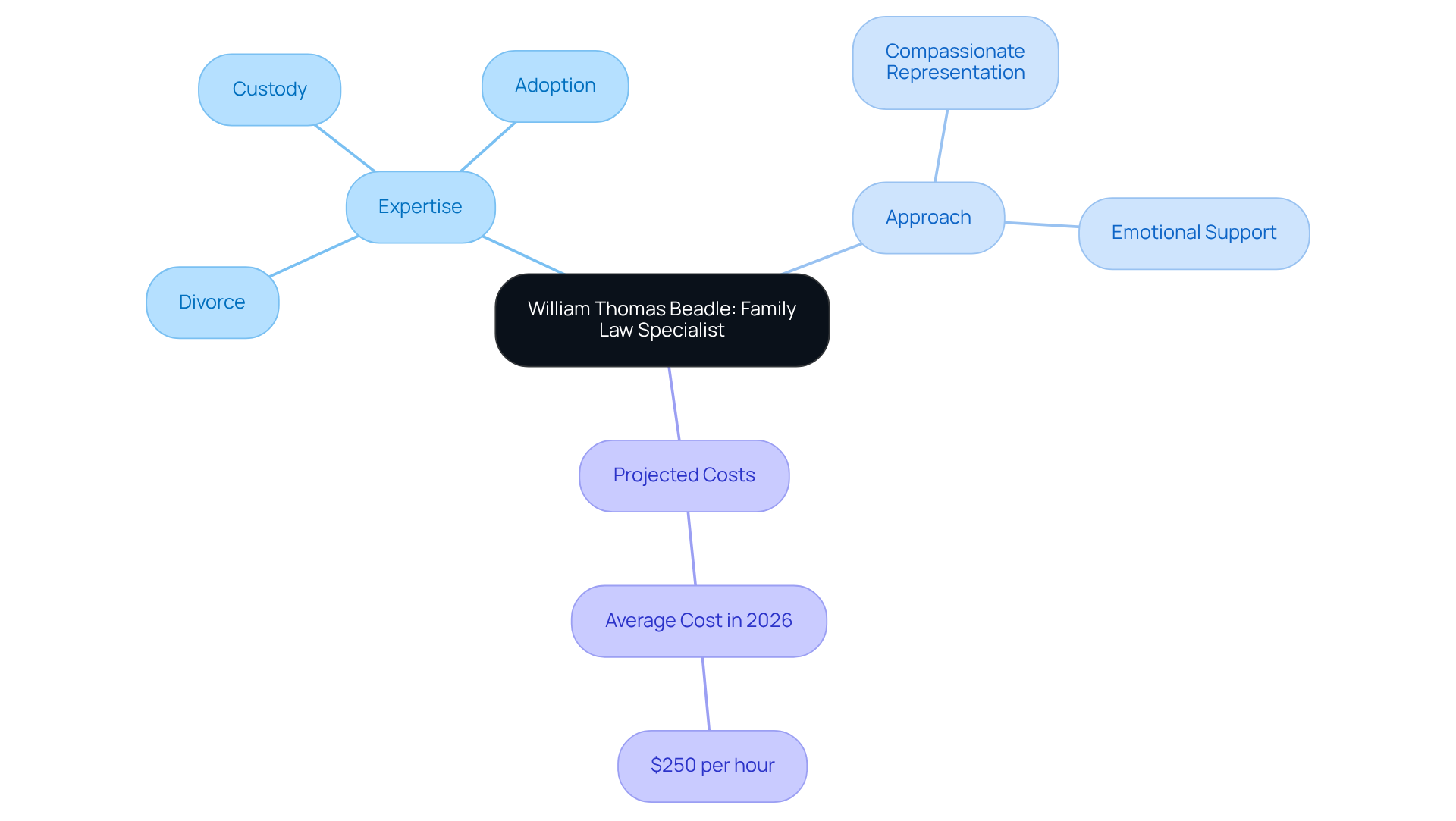 The central node represents Beadle's role, while the branches show his areas of expertise and approach. Each sub-branch provides more detail, helping you understand how he supports clients in family law matters.