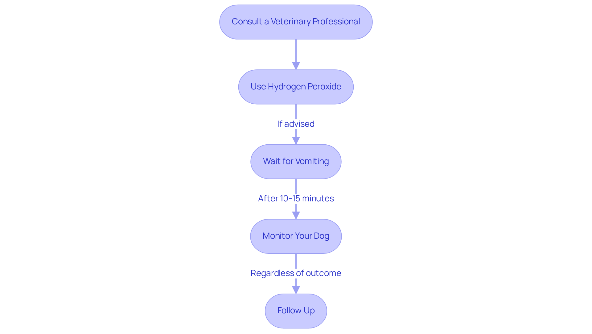 This flowchart guides you through the safe process of inducing vomiting in your dog. Start at the top and follow the arrows down to see what to do at each stage.