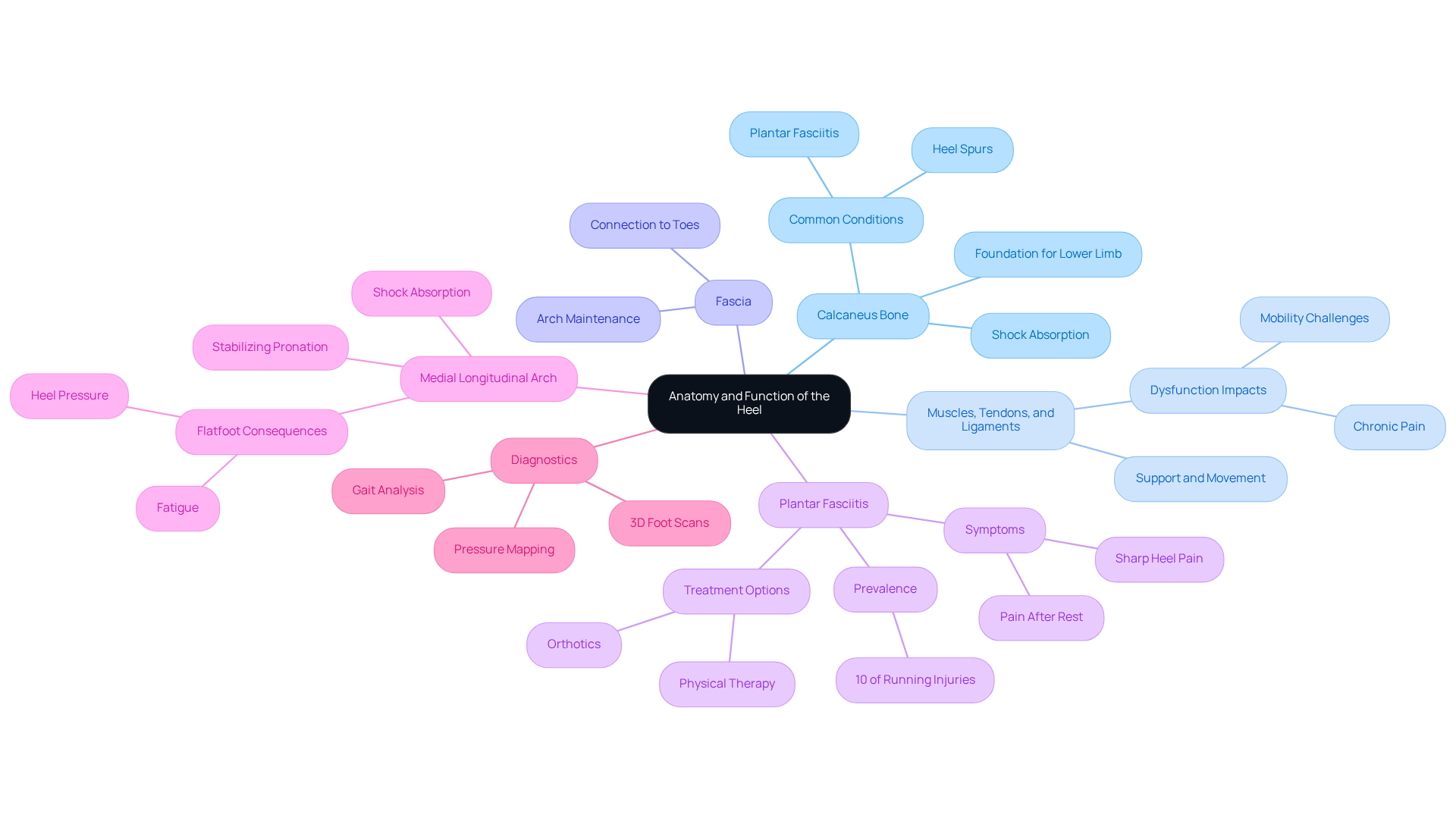 This mindmap starts with the heel's anatomy at the center and branches out to show how different parts work together. Each branch represents a key area of focus, helping you see how they relate to foot health and mobility. This mindmap starts with the heel's anatomy at the center and branches out to show how different parts work together. Each branch represents a key area of focus, helping you see how they relate to foot health and mobility.