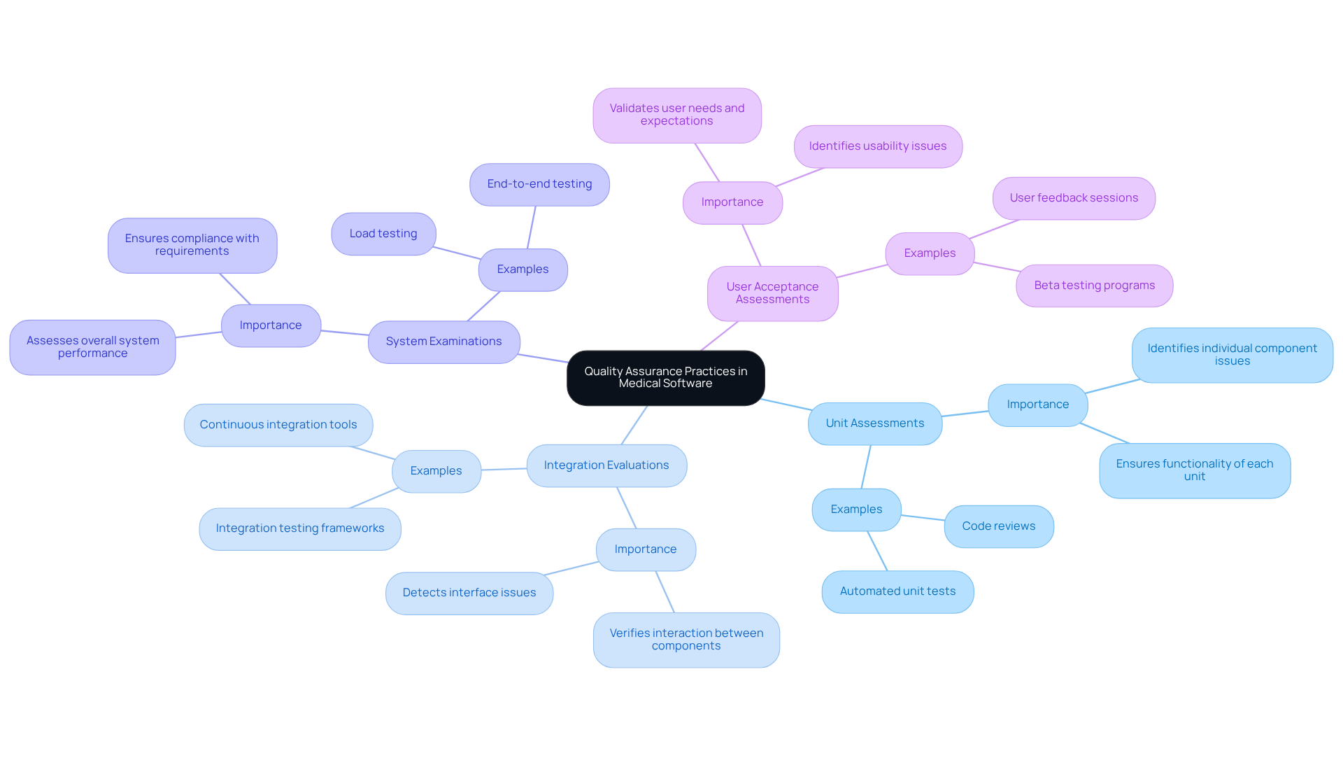 The center represents the main focus on quality assurance, while the branches show different types of assessments that contribute to ensuring software safety and effectiveness.