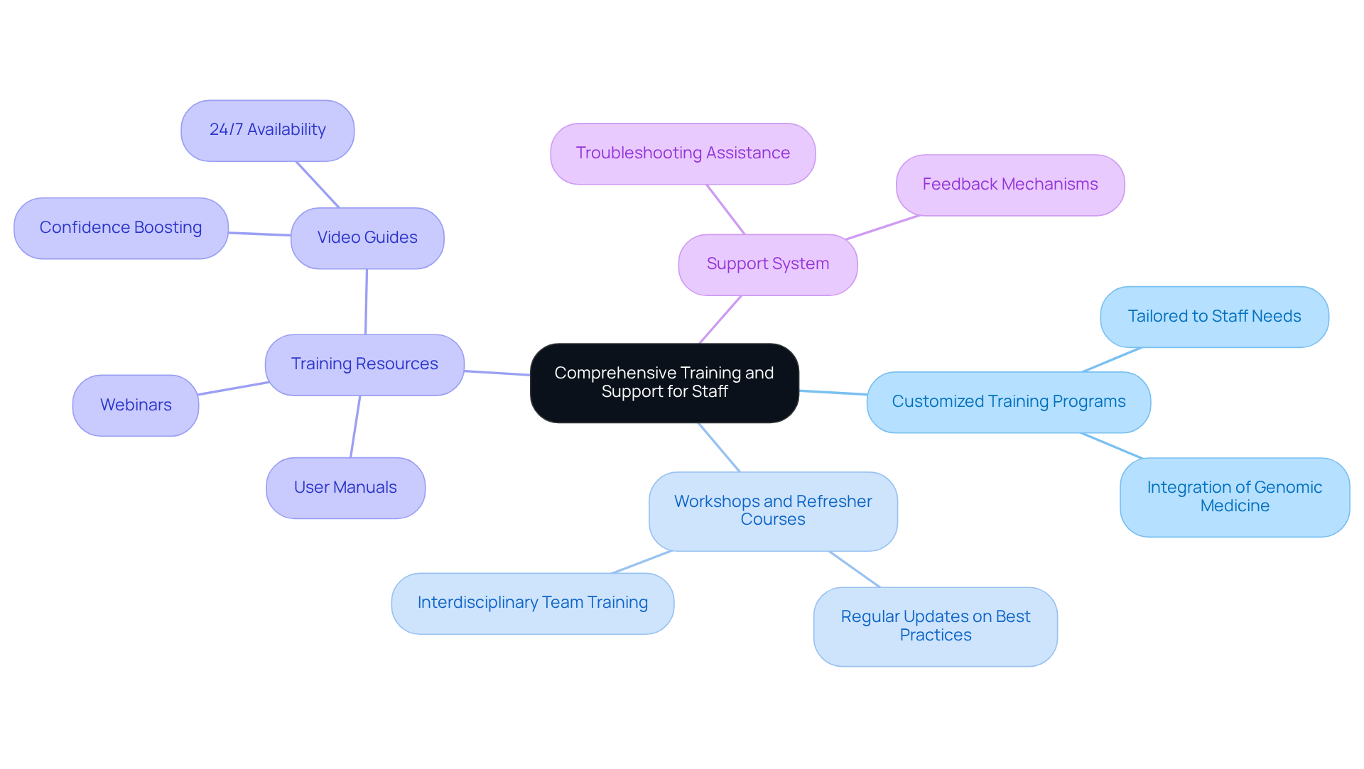 The center represents the main focus on training and support, while the branches show different aspects like tailored programs and resources available to staff. Each branch helps illustrate how these elements work together to improve efficiency.