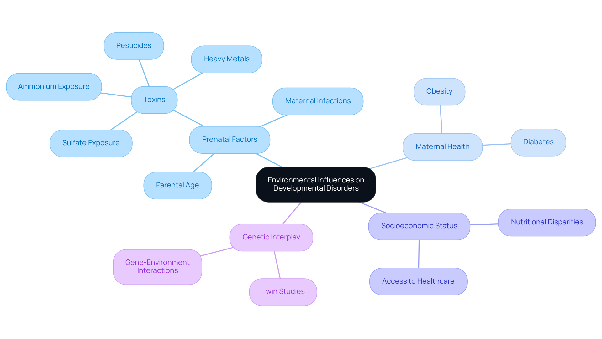 This mindmap illustrates how various environmental factors contribute to developmental disorders. Start at the center with the main topic, then explore the branches to see how each factor, like prenatal exposure or maternal health, connects to the overall risk of disorders such as autism.