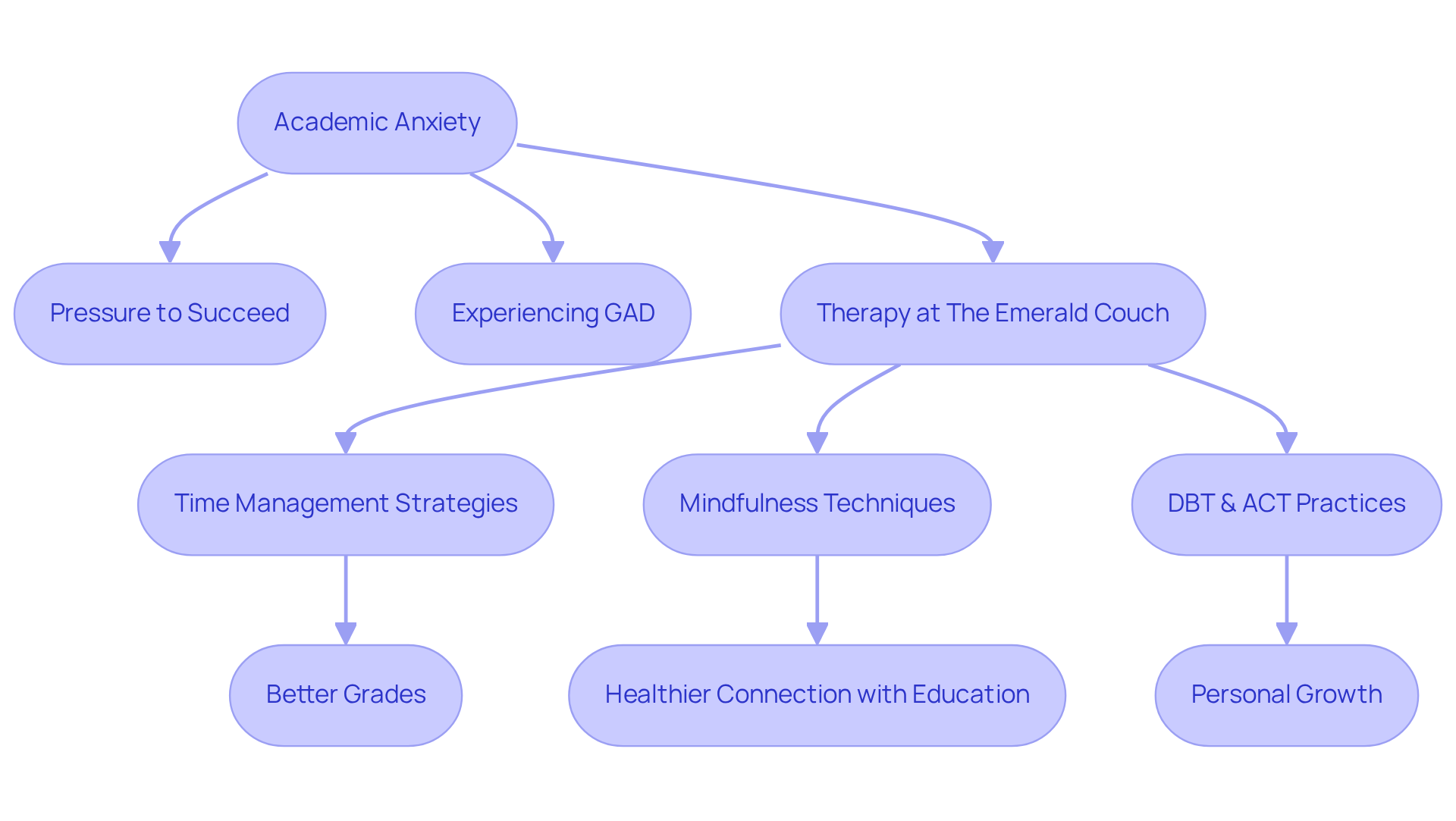 This flowchart illustrates the steps taken by a student dealing with academic anxiety. Each box represents a key stage or strategy in their journey, showing how they moved from feeling overwhelmed to achieving personal growth and better academic performance.