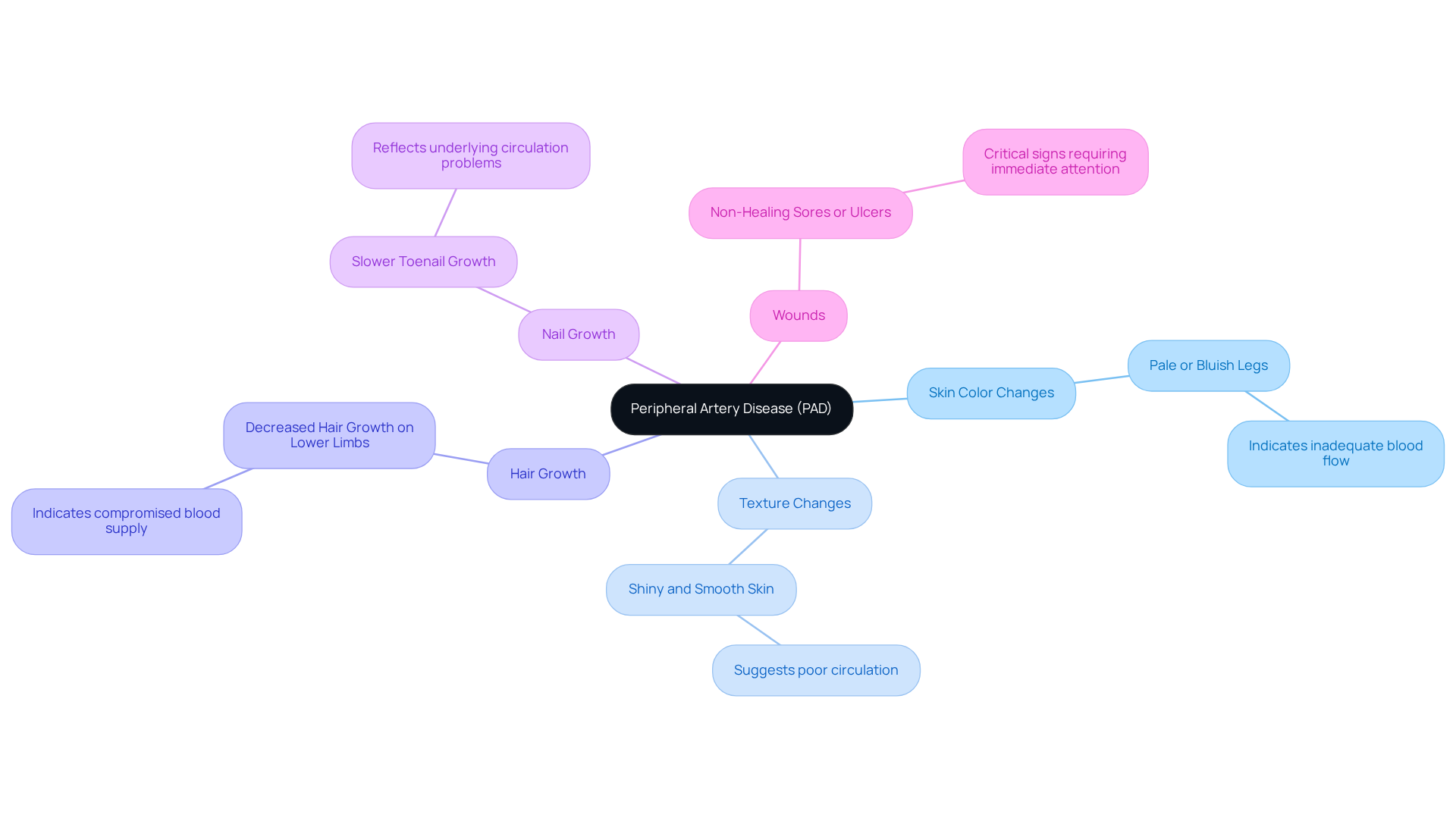 The center shows the main condition, PAD, and the branches represent key visual signs to look for. Each branch helps you understand what to watch for regarding your health.