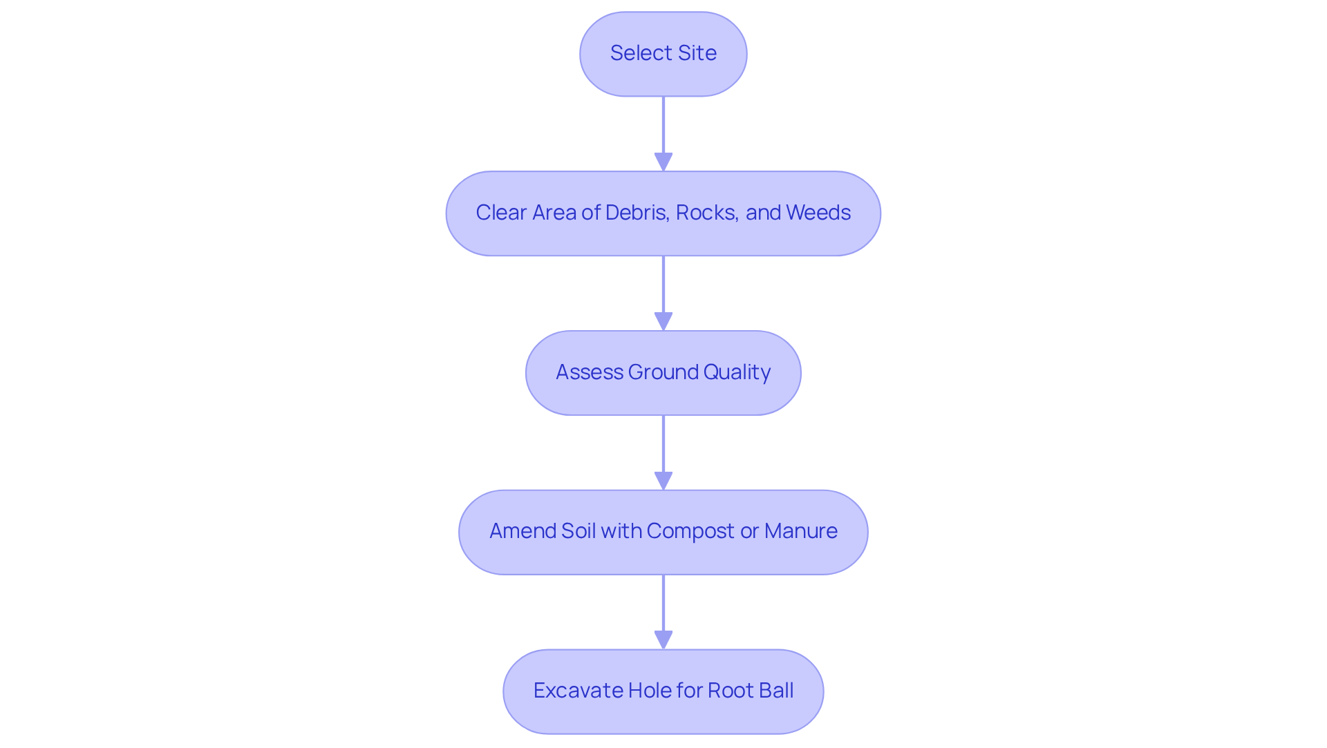 Follow the arrows to see each step in preparing the site and soil. Each box represents an action you need to take to ensure successful transplanting.