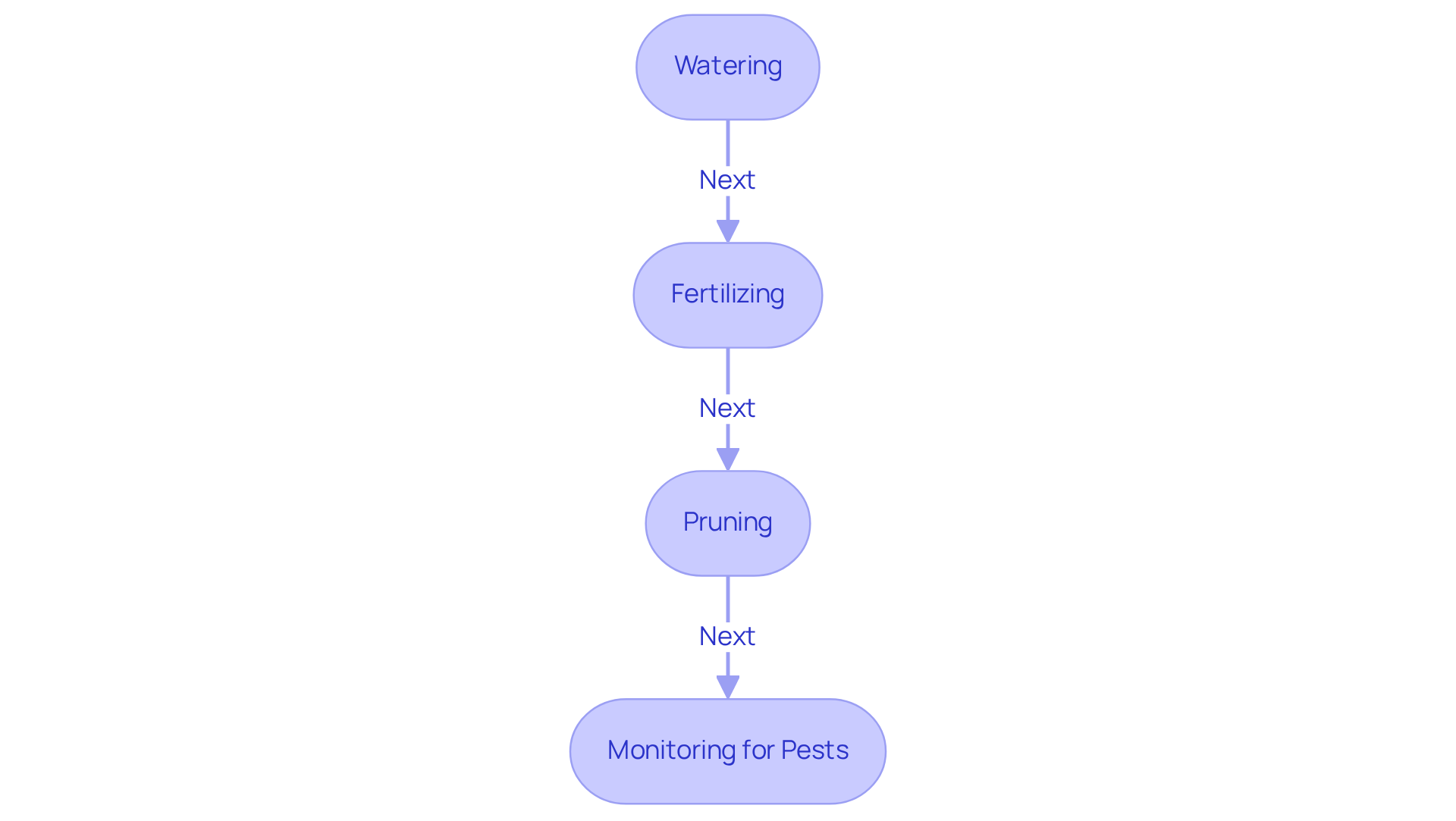 Each box represents a key care technique for the Pitomba plant. Follow the arrows to see how to properly water, fertilize, prune, and monitor for pests to keep your plant healthy and thriving.