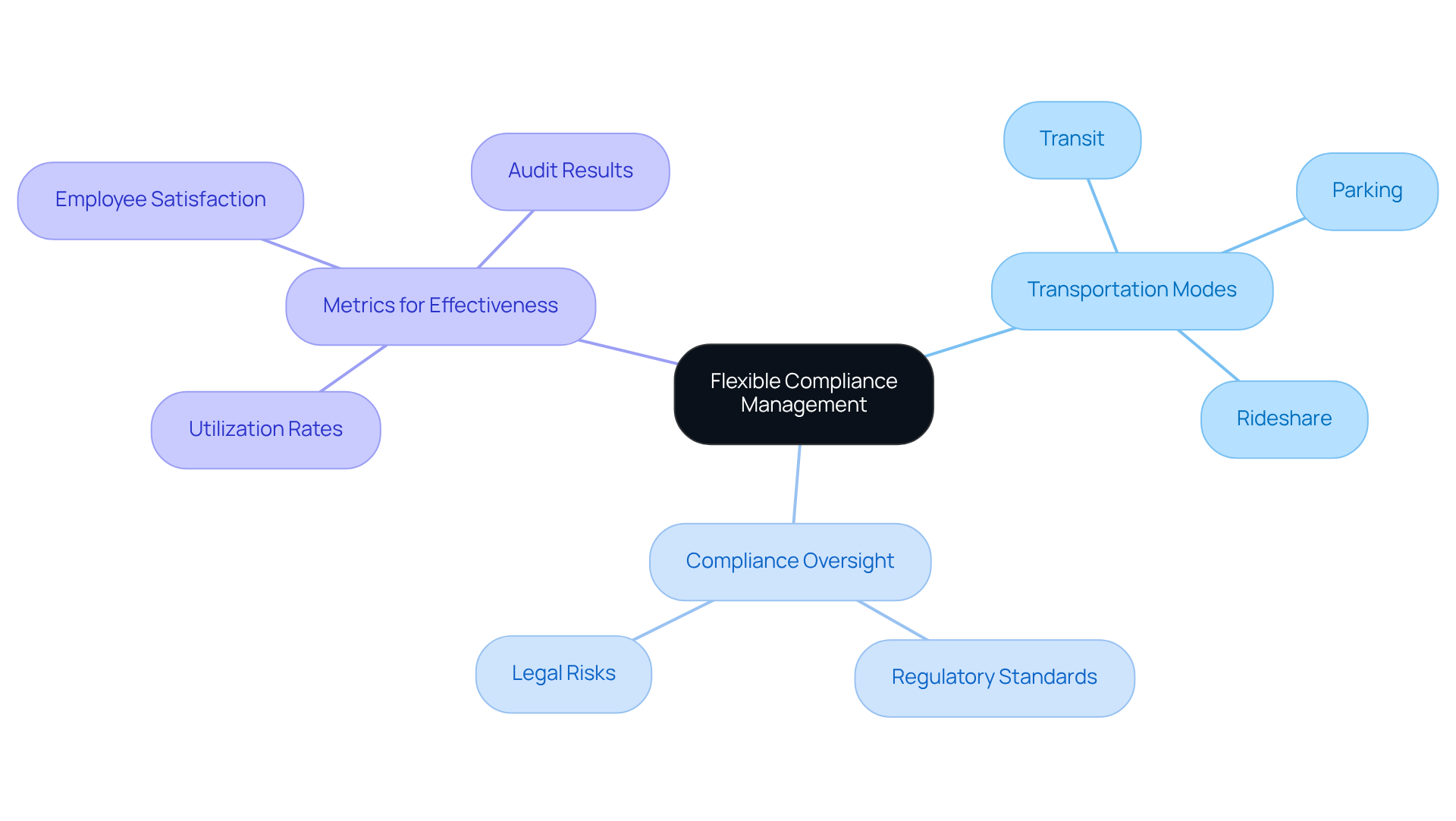 Start at the center with the main theme of compliance management, then explore the branches to see how transportation modes, compliance oversight, and metrics connect to the overall strategy.