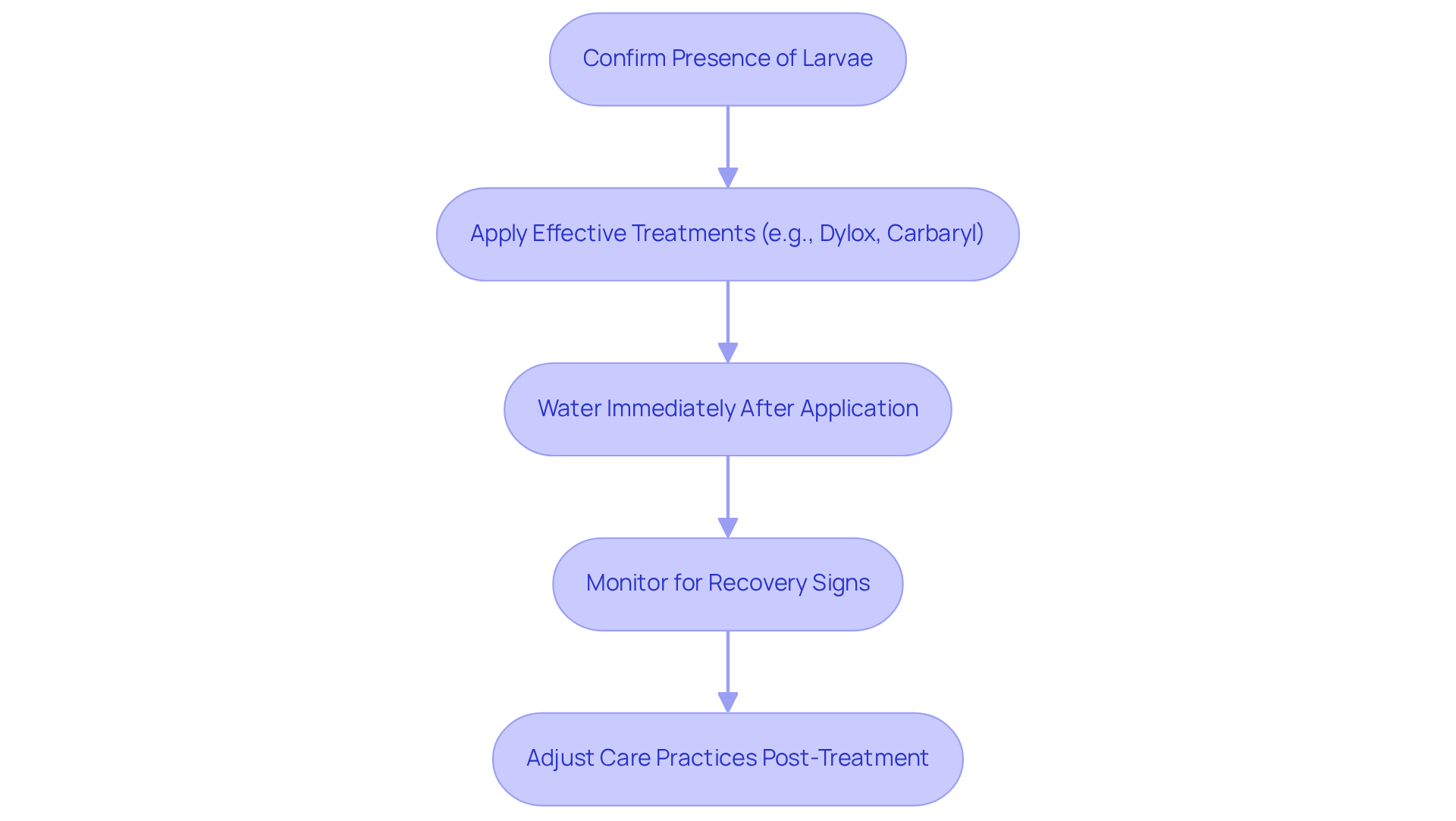 Follow the arrows to see the steps for managing pest infestations. Each box represents a key action to take, starting from confirming larvae presence to adjusting care practices for a healthier lawn.