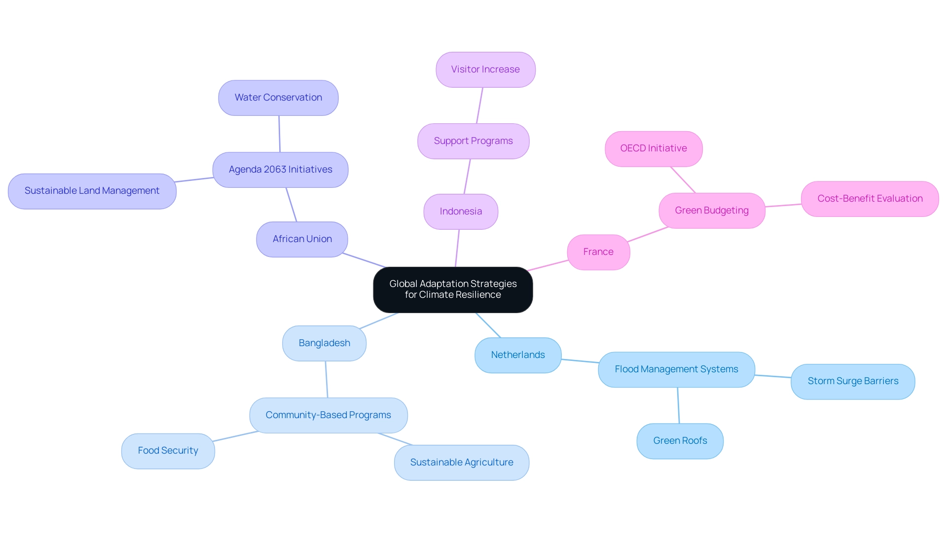 Each branch represents a country’s adaptation strategies, with sub-branches illustrating specific initiatives taken within those countries.