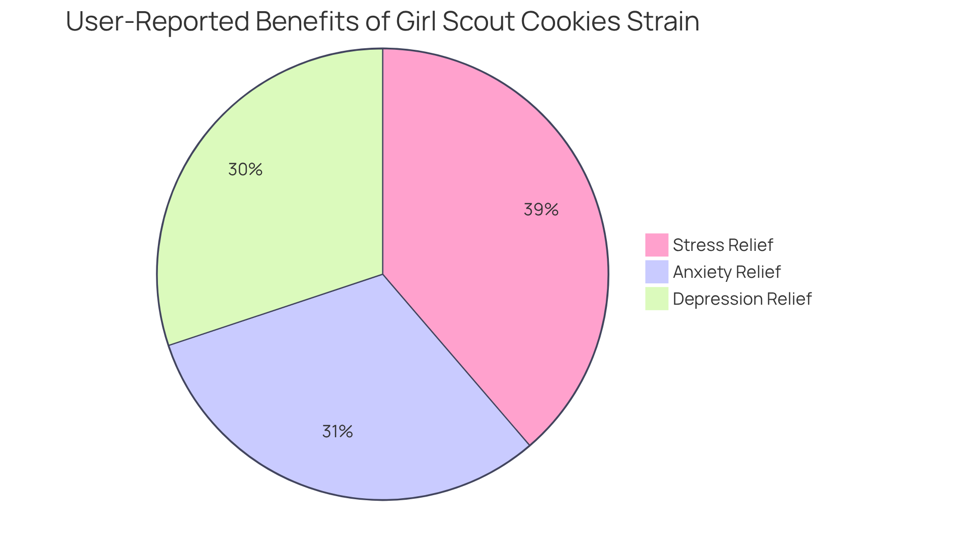 Each slice represents the percentage of users who found relief from different conditions — the larger the slice, the more users reported that benefit. Each slice represents the percentage of users who found relief from different conditions — the larger the slice, the more users reported that benefit.