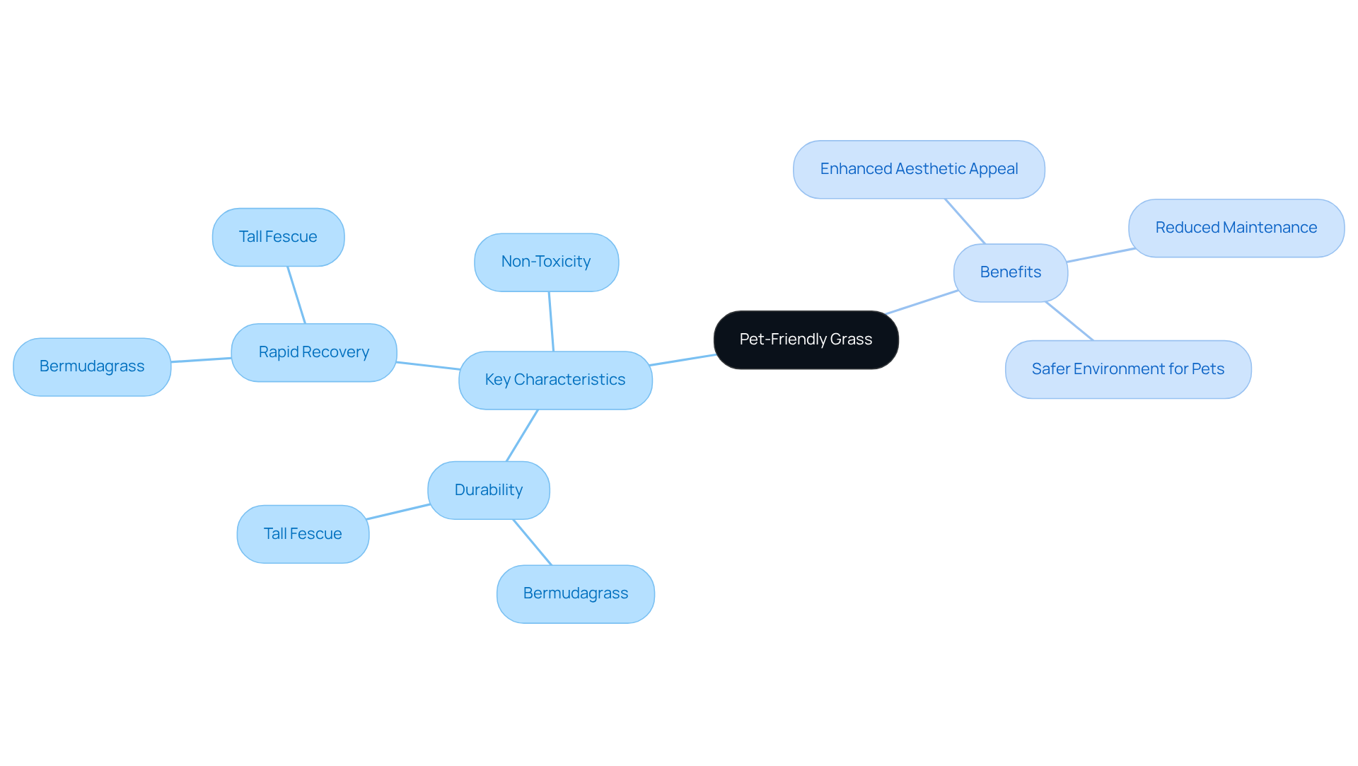 The center shows the main topic of pet-friendly grass. Follow the branches to explore its key features and the benefits they provide for pets and their owners. The center shows the main topic of pet-friendly grass. Follow the branches to explore its key features and the benefits they provide for pets and their owners.